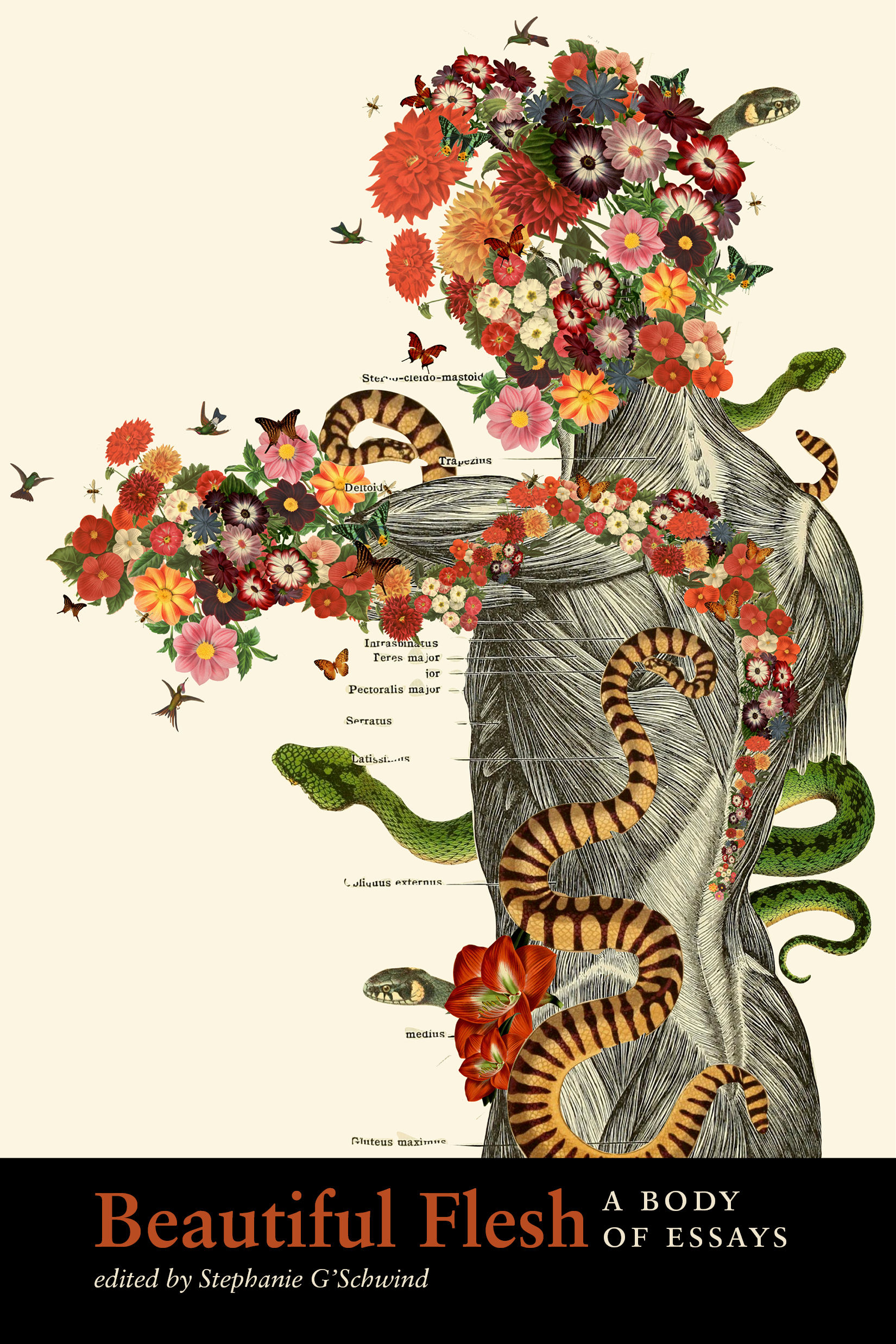 SunLit excerpt: Author savors family smiles in piece from "Beautiful ...