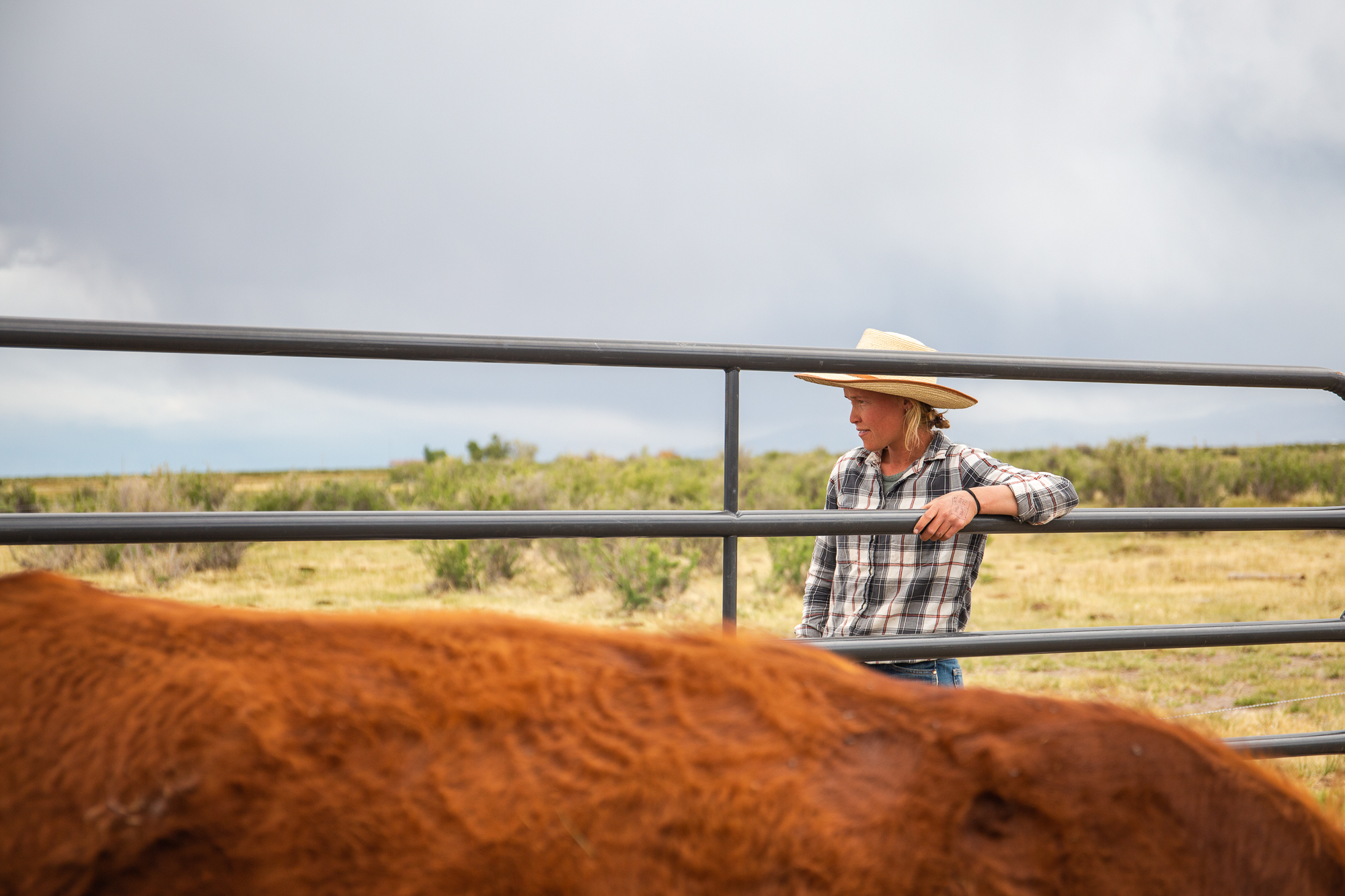 Can rangeland apprenticeships stem the exodus of Colorado ranchers and ...