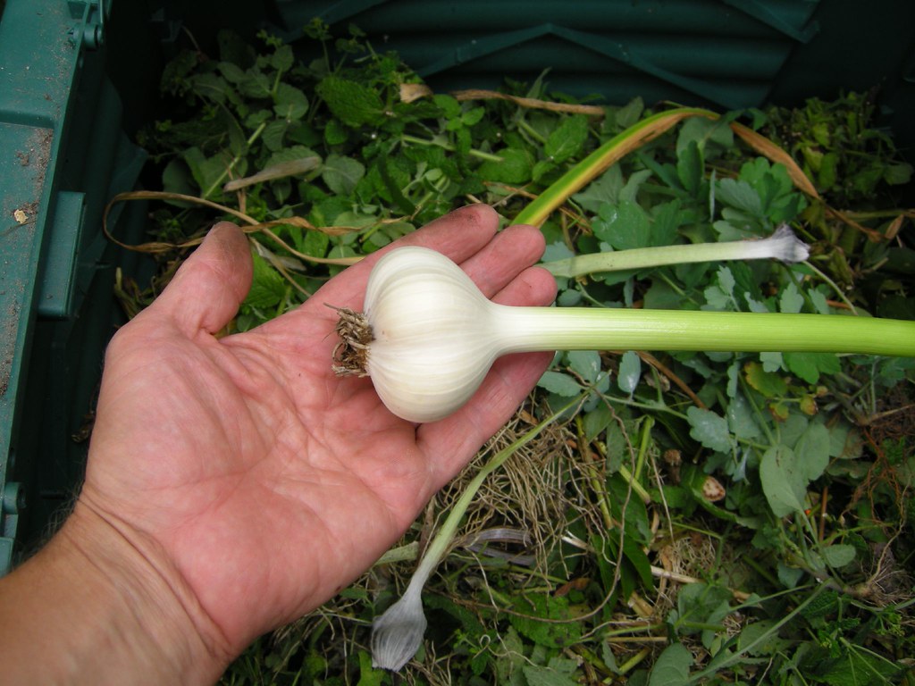 How a Colorado College professor became a lightning rod for controversy ...