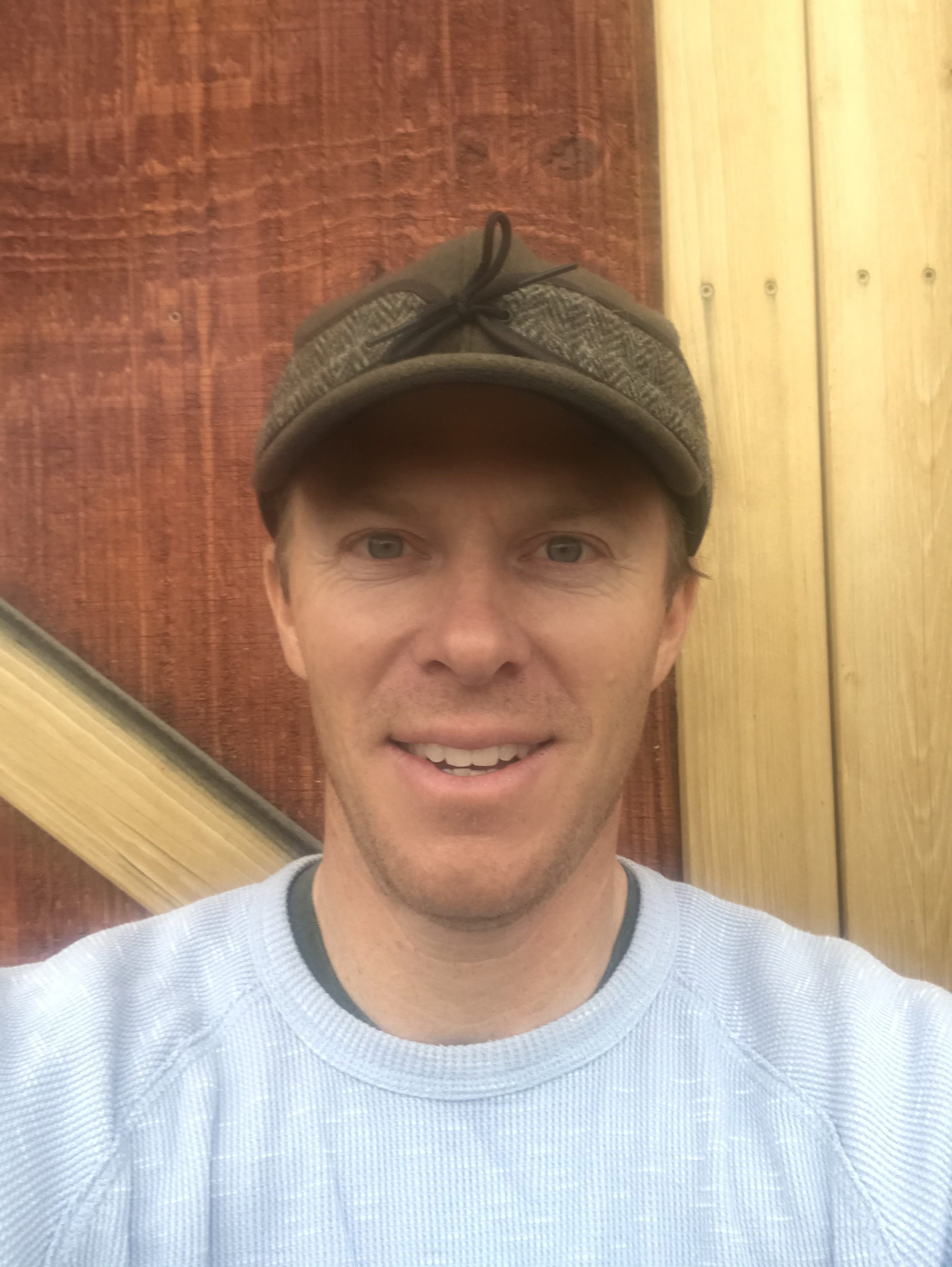 Opinion: Gray wolves don't need our help at the ballot box. They're ...