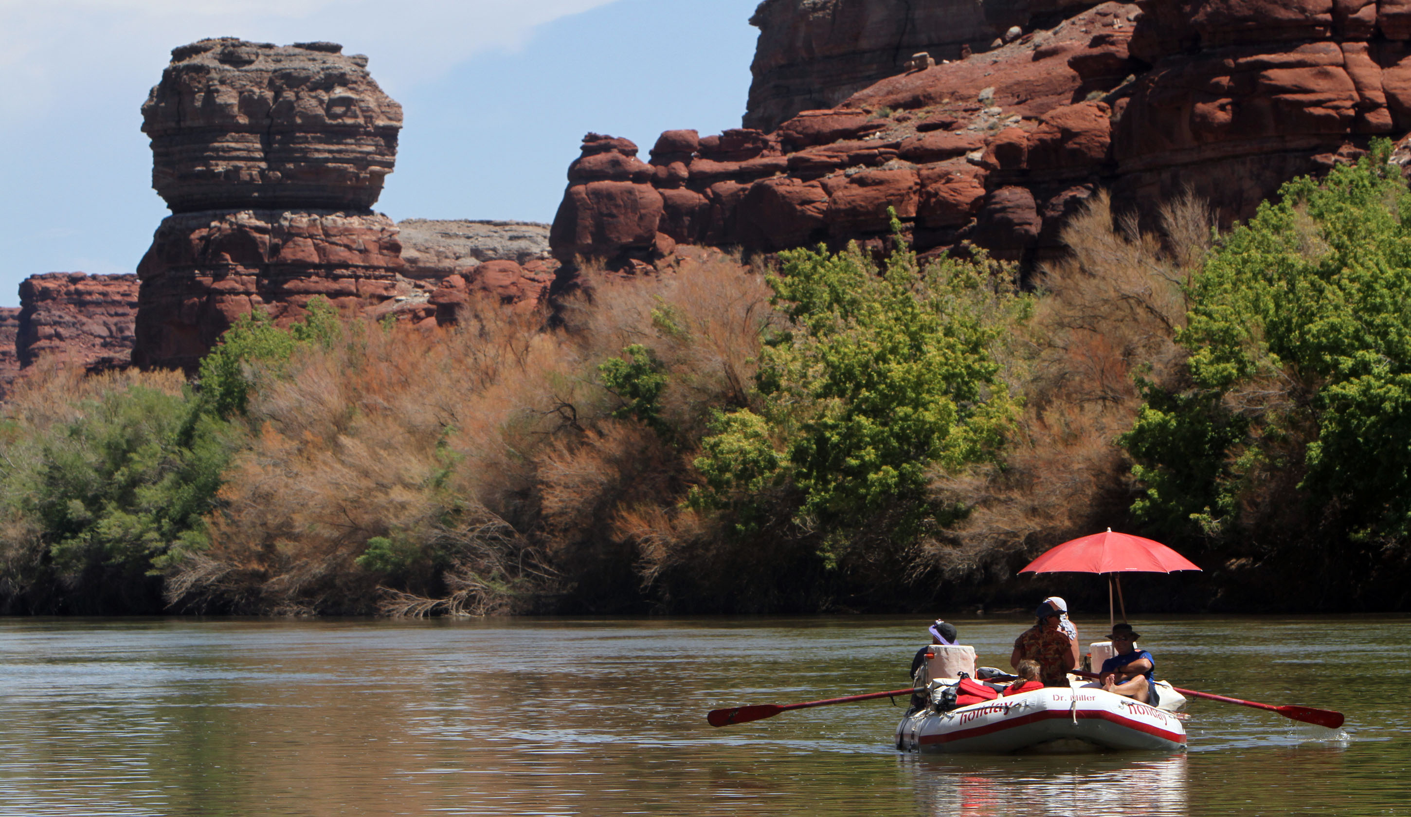 Why planting tenacious tamarisk seemed like a good idea until it wasn’t ...