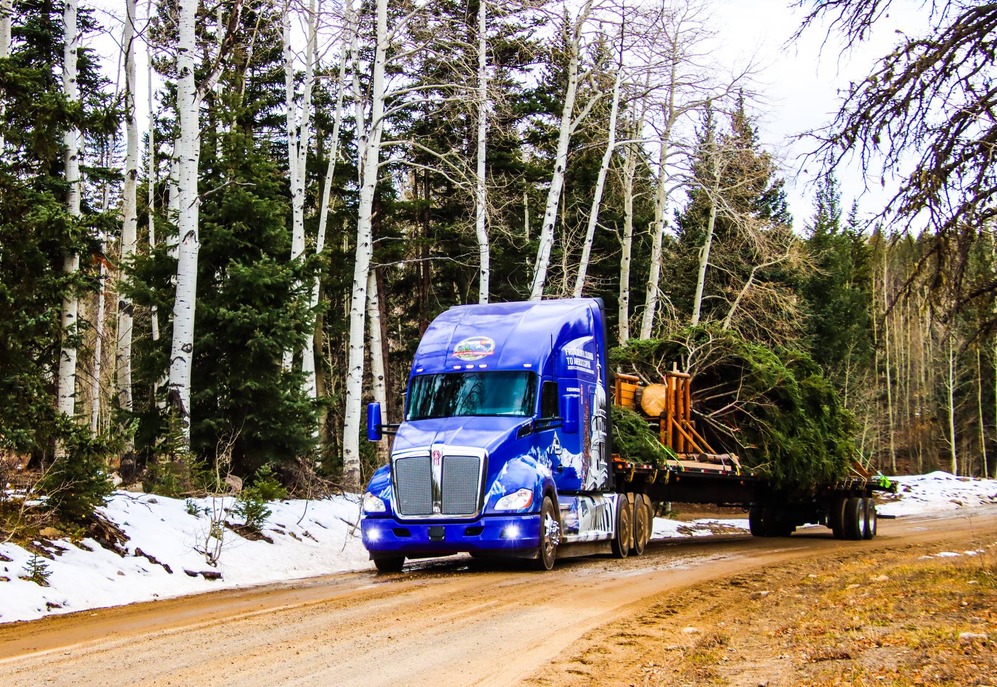 The Colorado-grown Capitol Christmas Tree is a symbol of unity in a ...