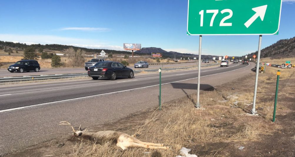 Colorado’s I-25 project on "The Gap" combined data, thousands of photos ...