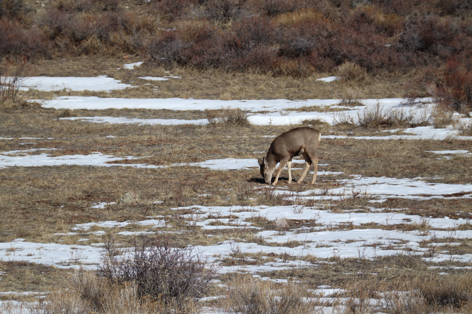 Colorado’s statewide drought “pretty dire.” It'll take more than a ...