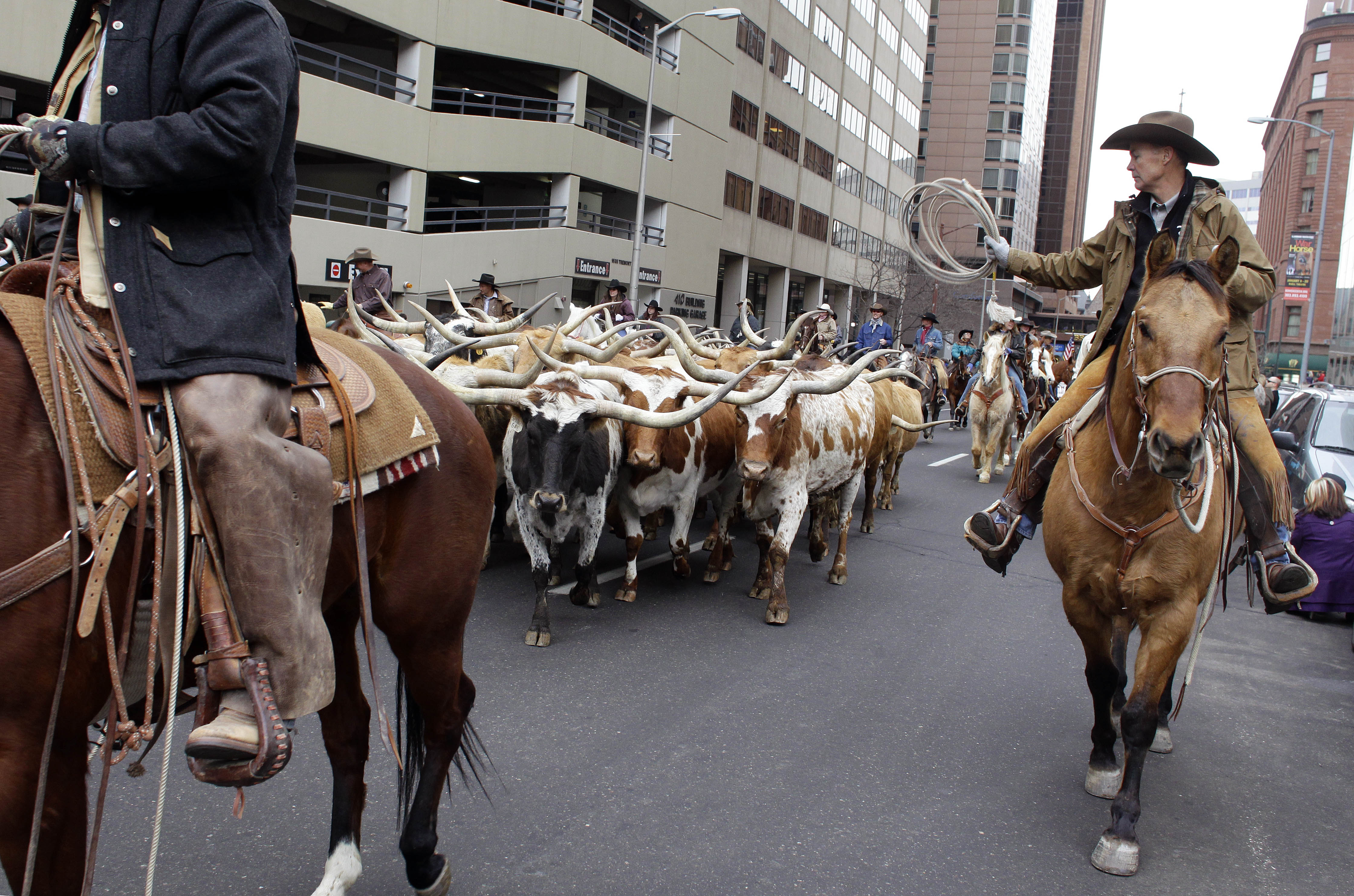 2024 National Western Stock Show: Who to see, where to eat, more