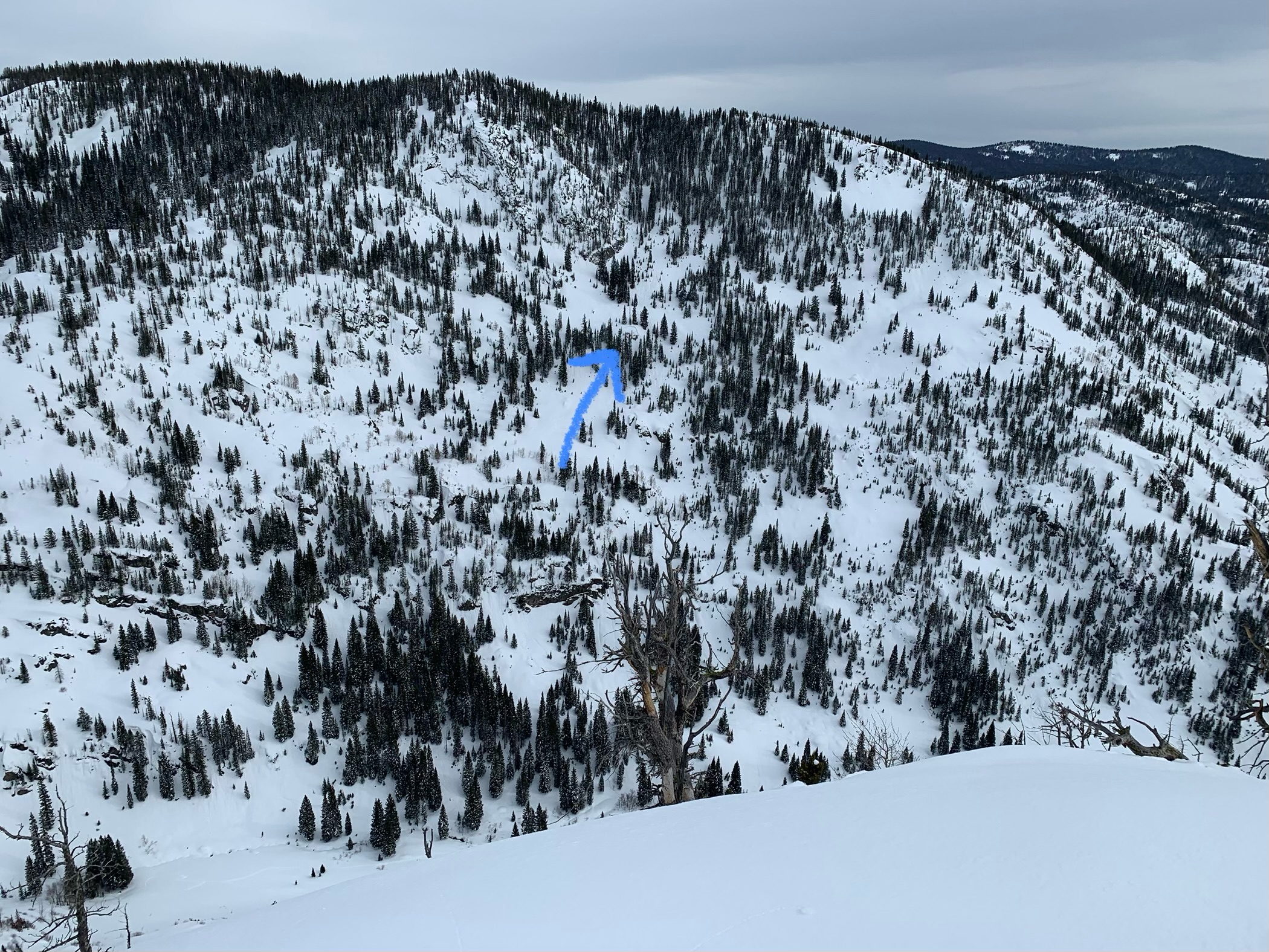 Steamboat Springs man killed in avalanche in Fish Creek