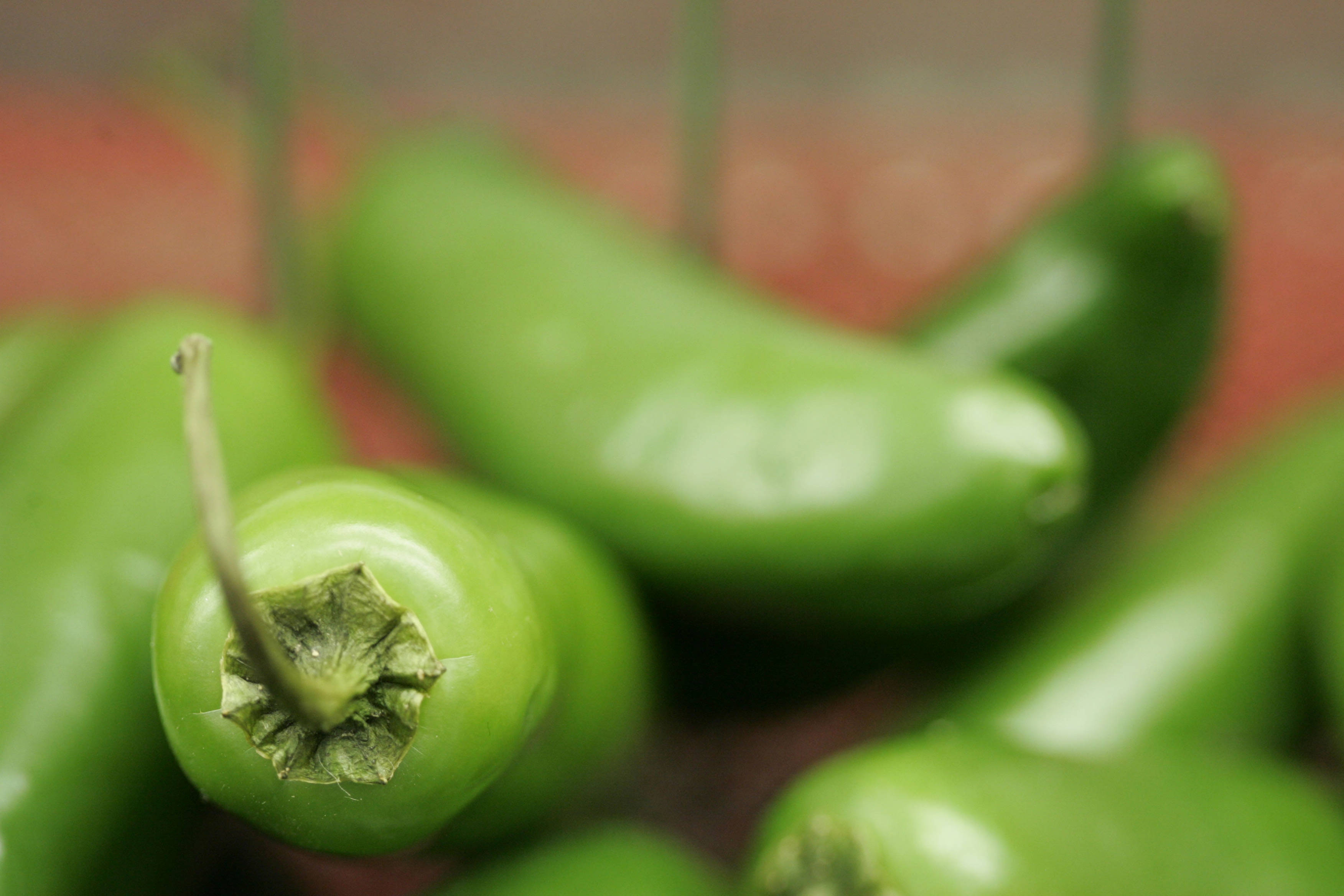 Colorado’s oldest business R&R Market to be turned into a co-op