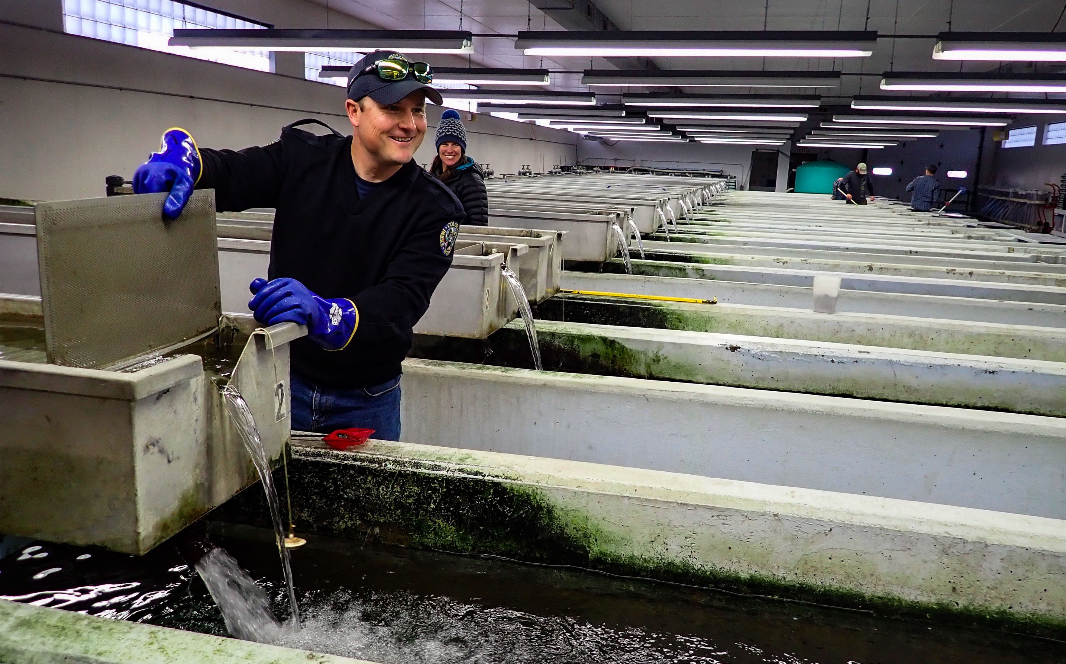 What 3 million kokanee salmon tell us about Colorado's drought
