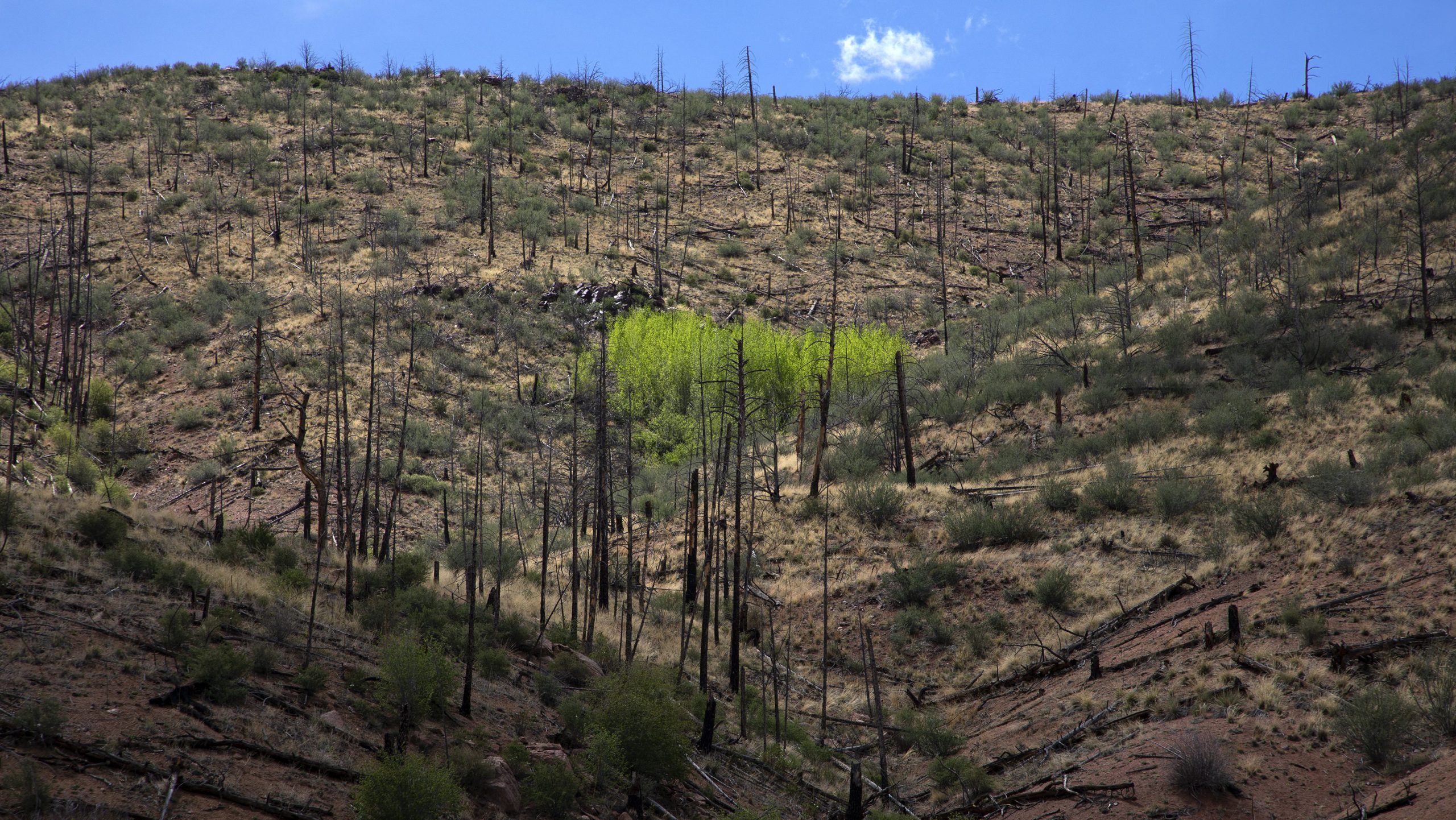 The 2002 Hayman fire offers a window into Colorado's wildfire future
