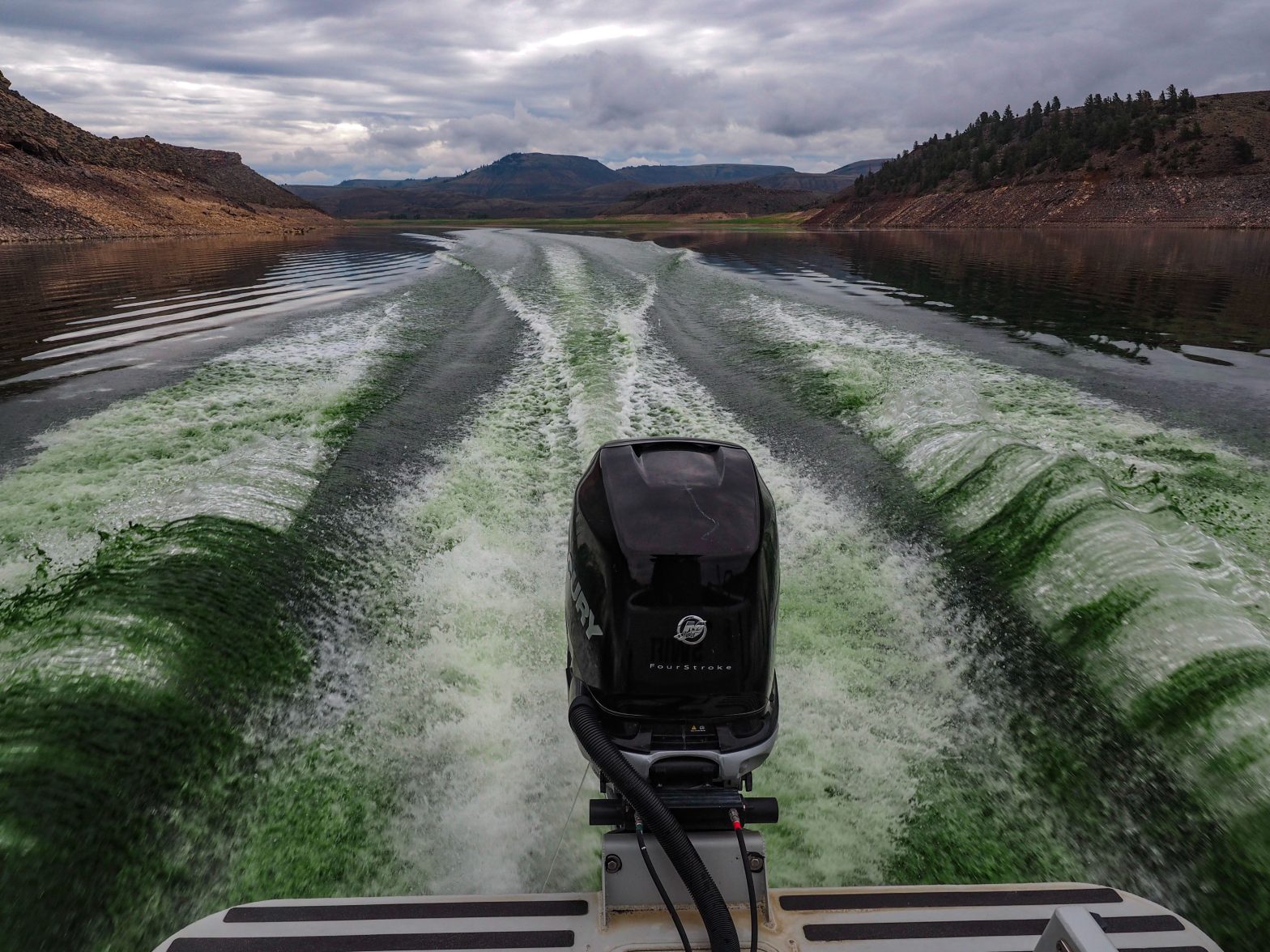 Researchers search for cause of toxic algae bloom at Blue Mesa