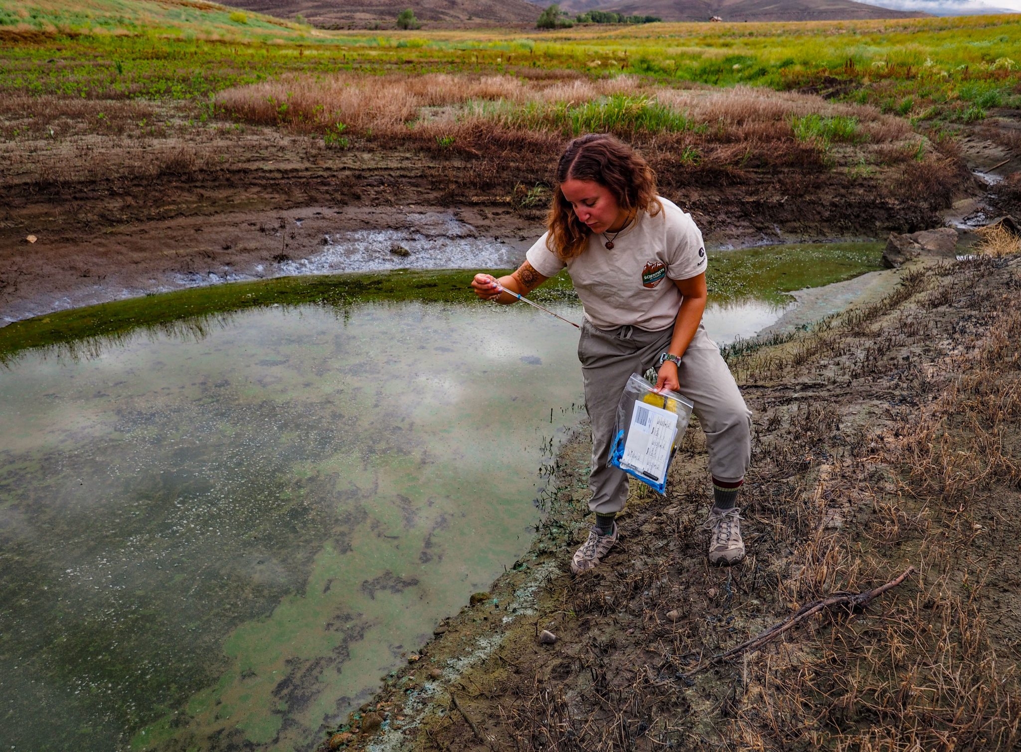 Researchers search for cause of toxic algae bloom at Blue Mesa
