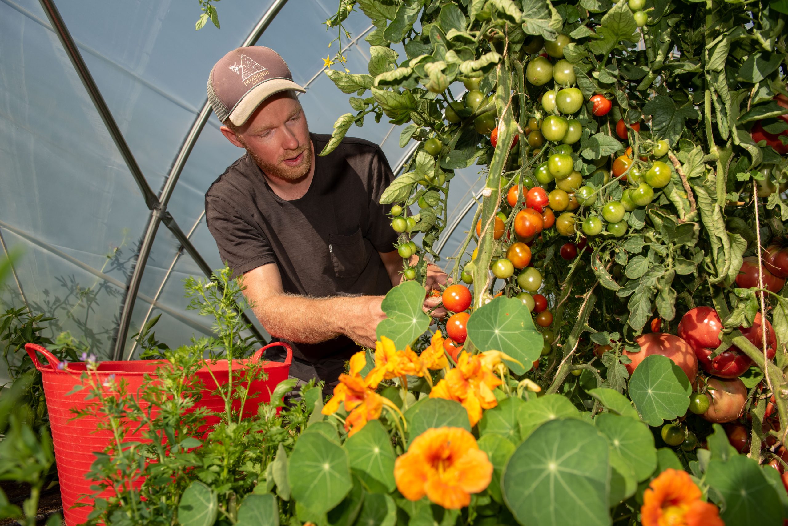 Colorado programs help beginning farmers over huge hurdles
