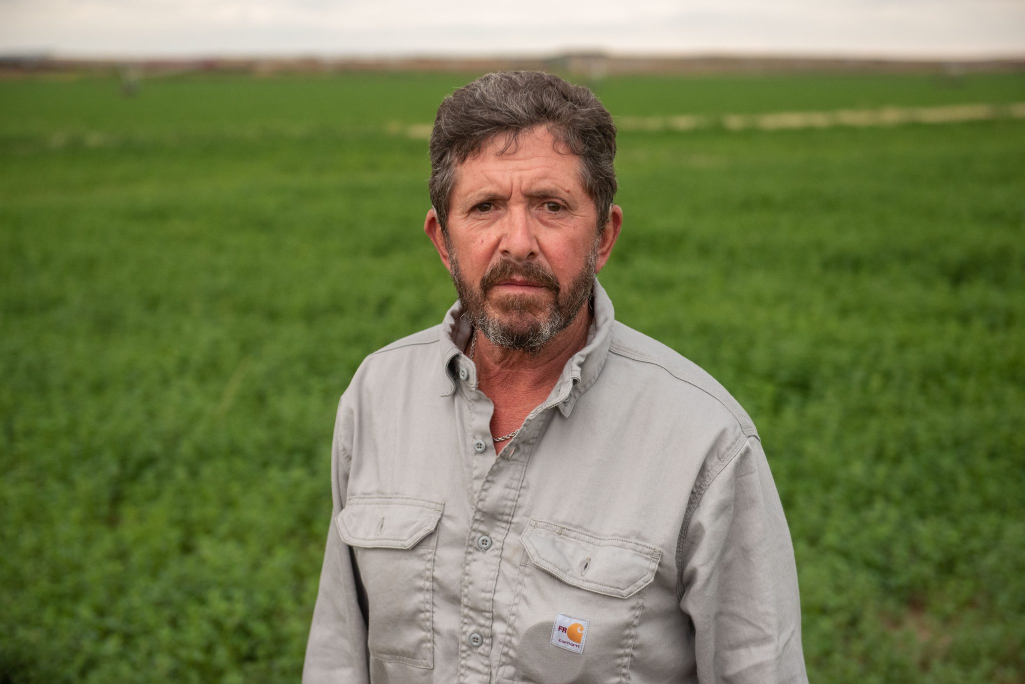 Who is Steve Wells, the Colorado rancher spending millions to beat ...