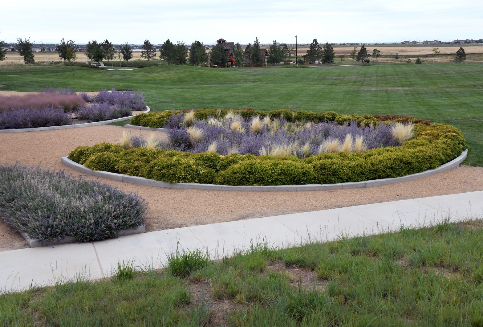 Is an "oasis" landscape perfect for Denver and arid climates?