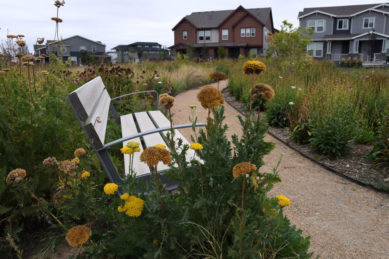Is an "oasis" landscape perfect for Denver and arid climates?