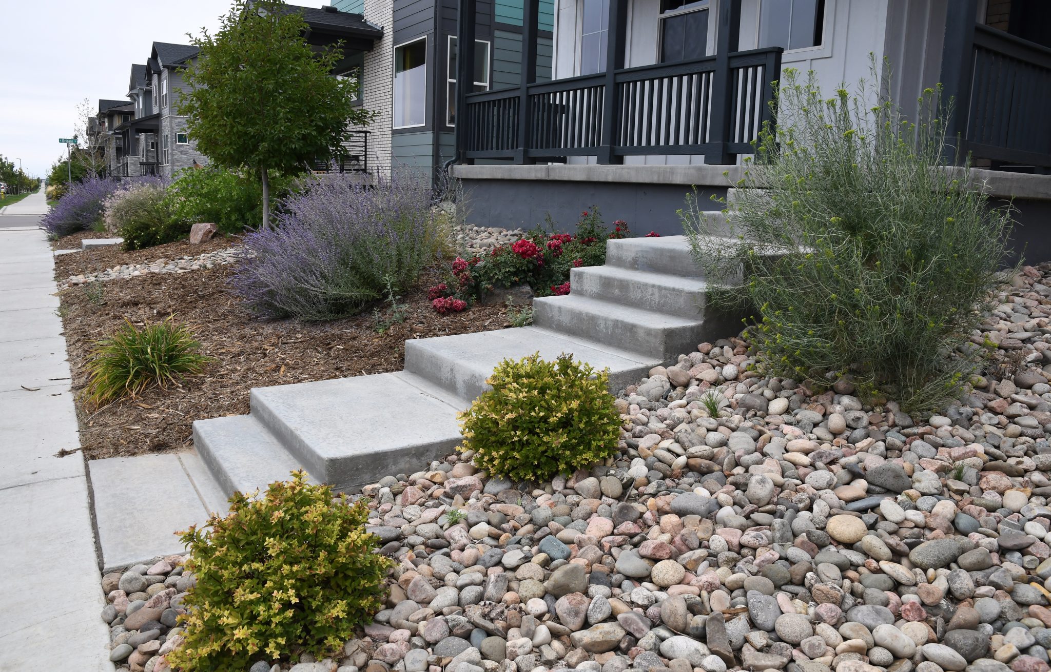 Is an "oasis" landscape perfect for Denver and arid climates?