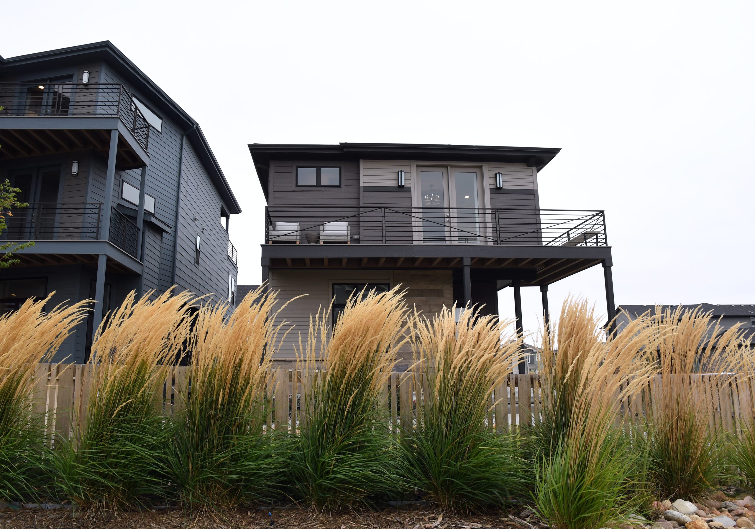 The Sunriser | Replacing grass will cost a pretty penny