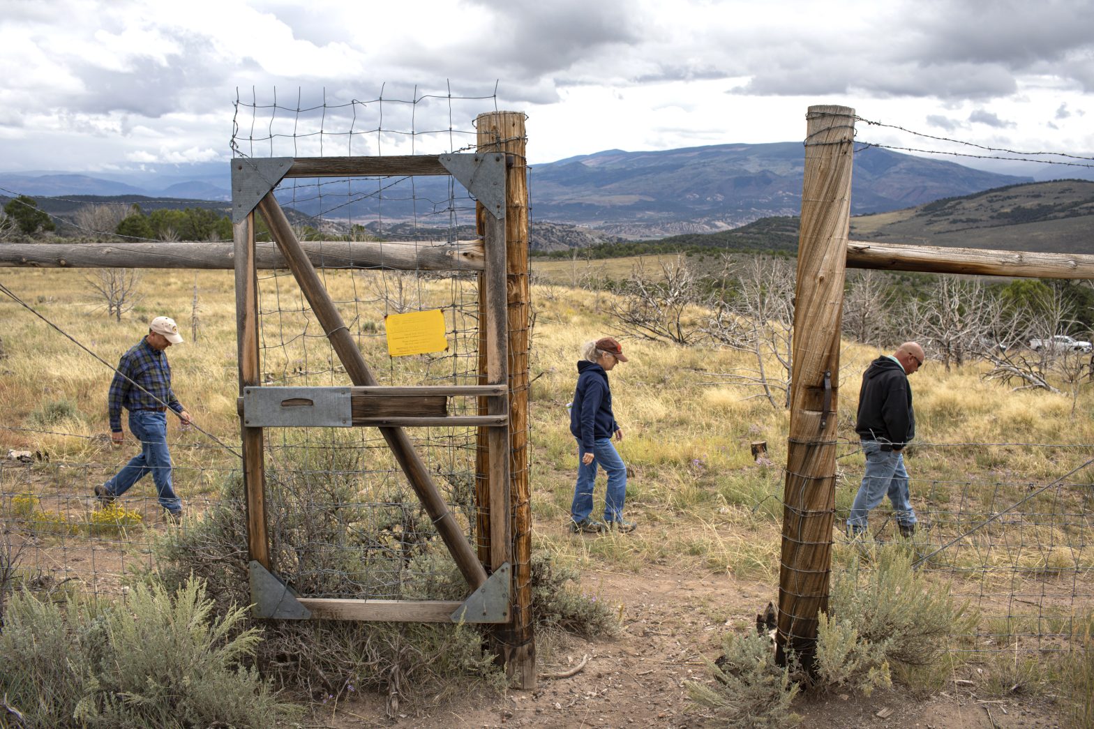Virtual fencing on BLM grazing lands is restoring rangeland grasses