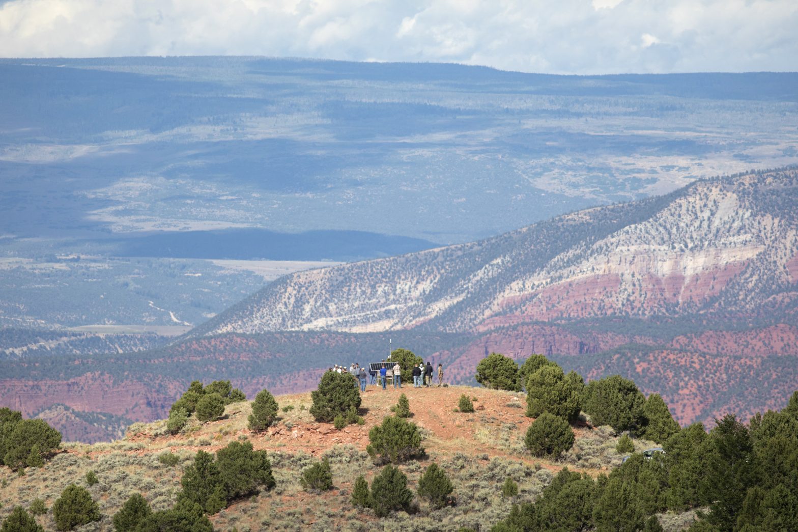 Virtual fencing on BLM grazing lands is restoring rangeland grasses
