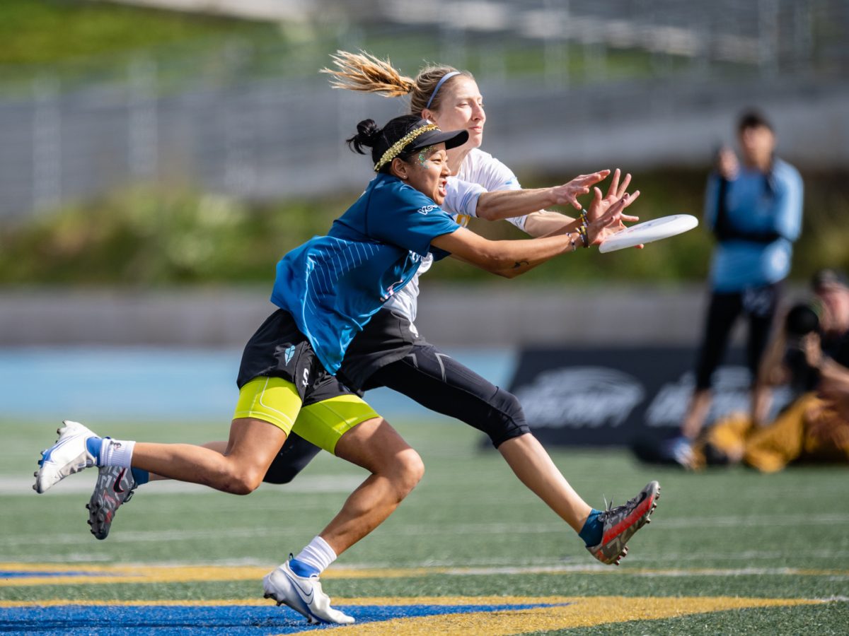 How one Colorado business is navigating the state's rules to reopen ...