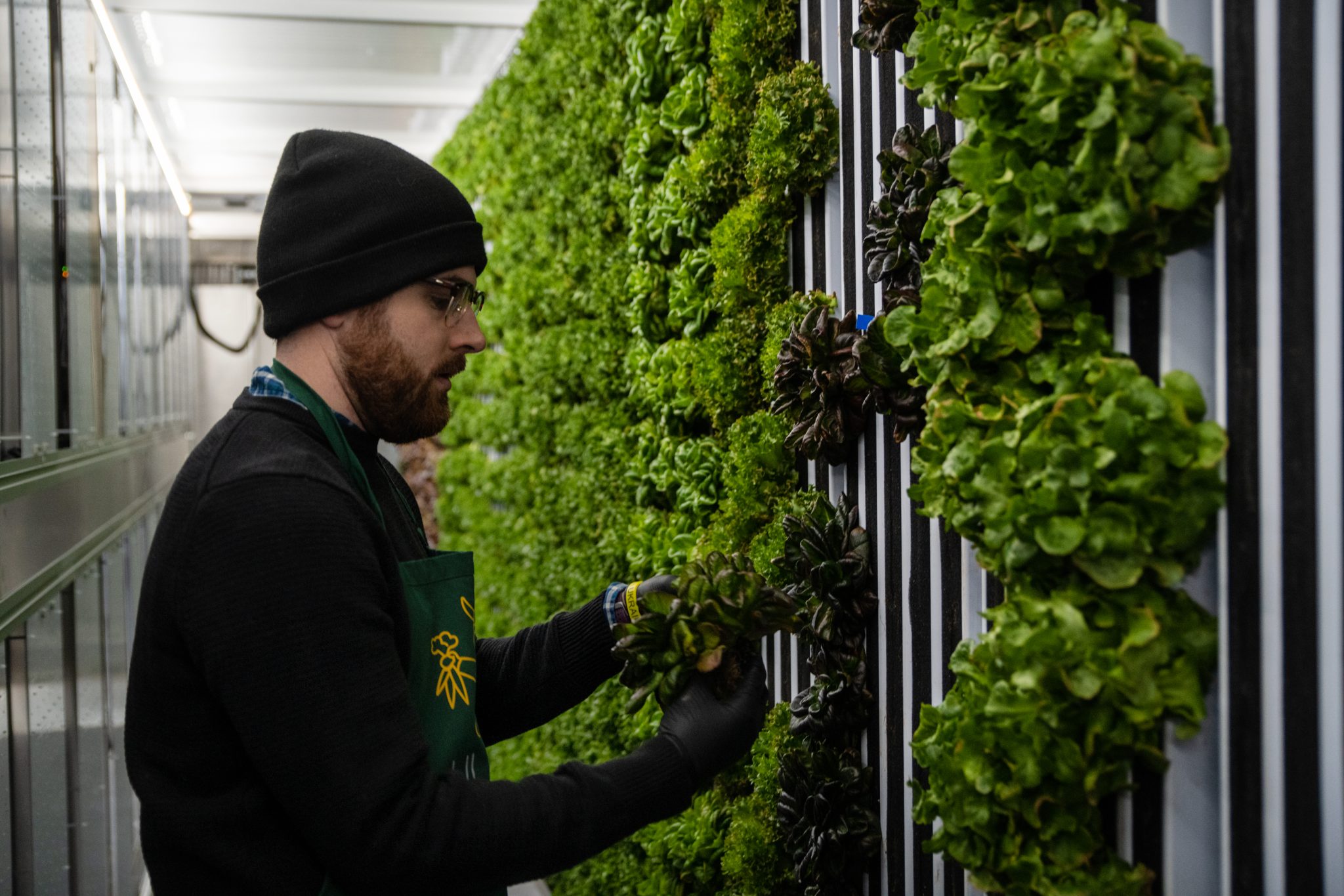 Vertical farming in Denver: Ullr's Garden is trying to save the world
