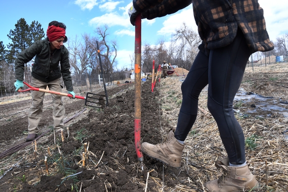 Programs that keep Coloradans fed are declining, one could close