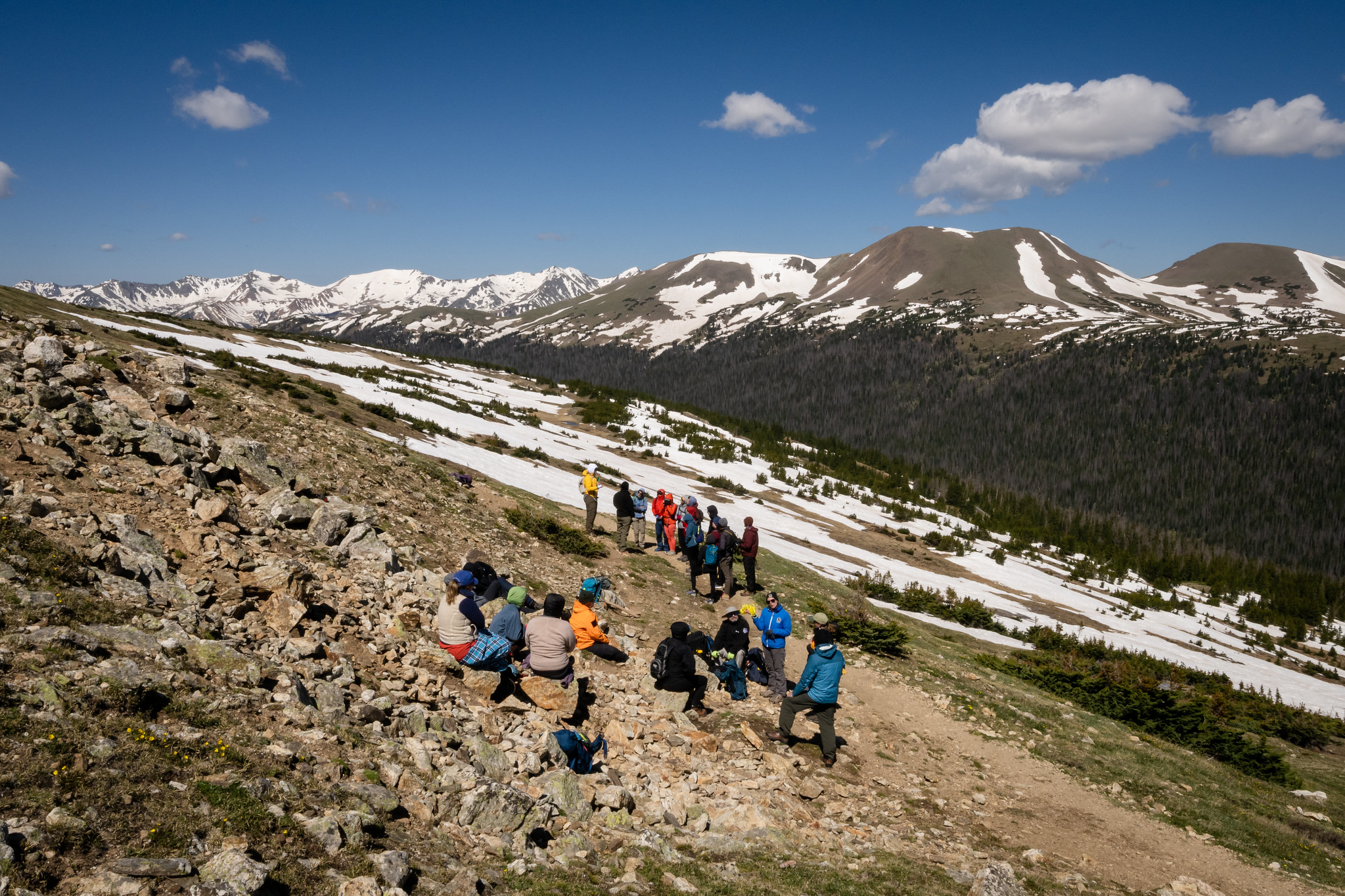 Helping scientists understand climate change's impacts on pikas