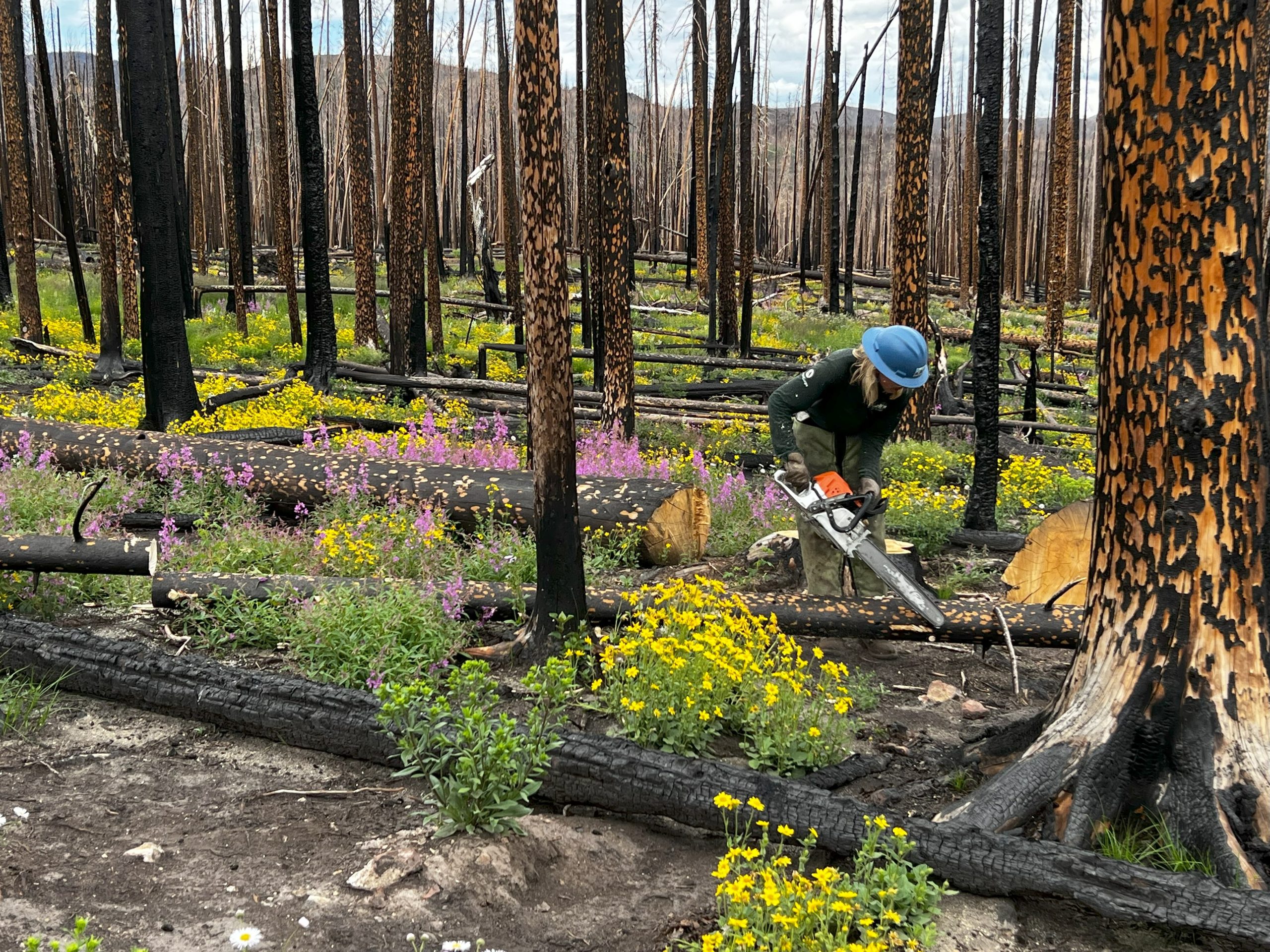 Colorado Climate Corps a seed for Biden's American Climate Corps