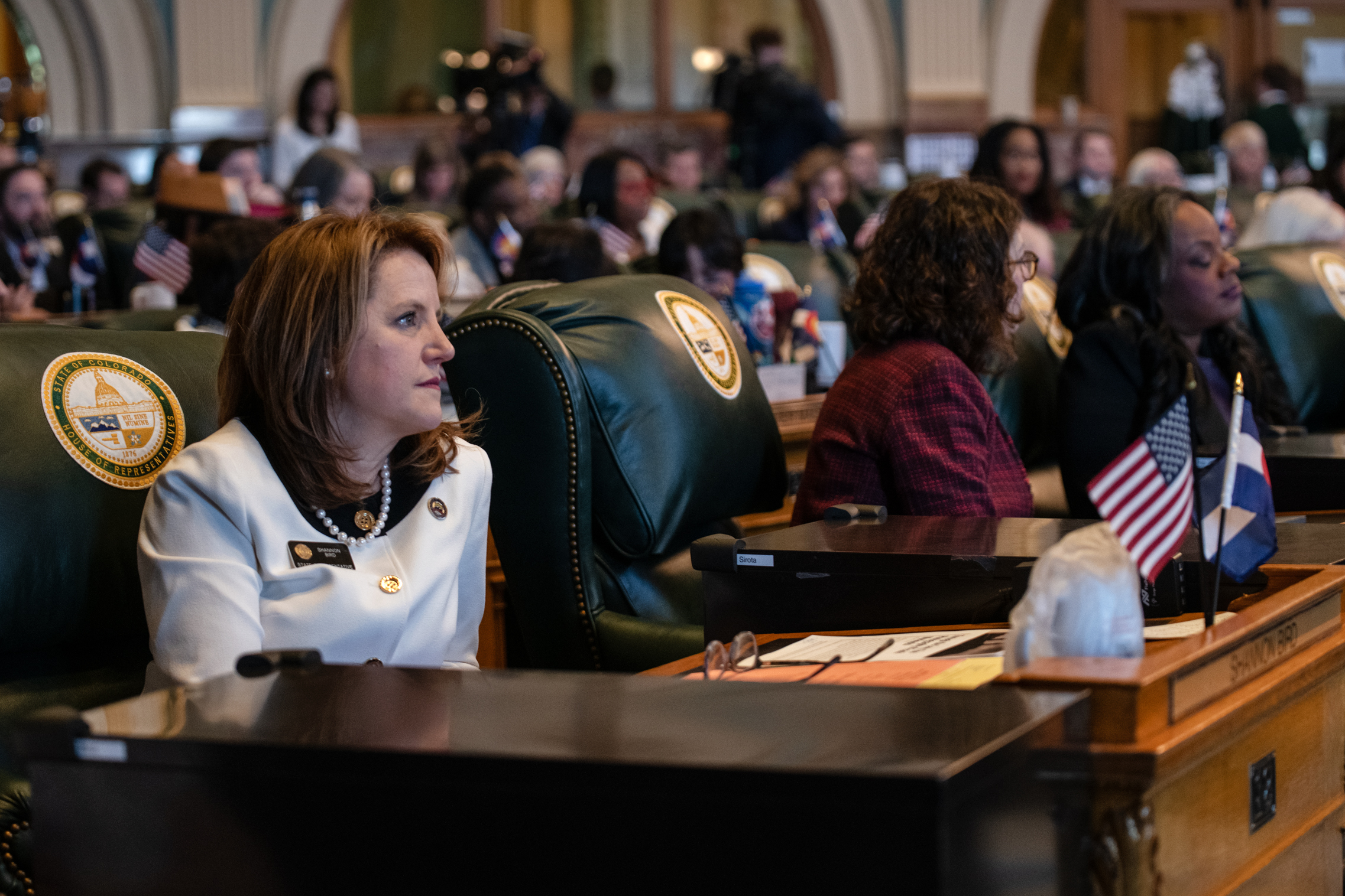How Shannon Bird's voting record may affect her congressional bid- The ...