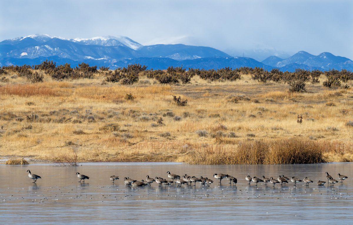 Land board ends Chico Basin Ranch lease with Phillips family after 25 years