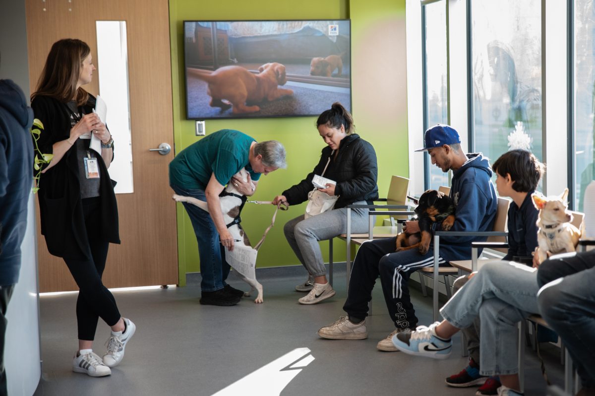 It costs more to take care of pets in Colorado than it used to