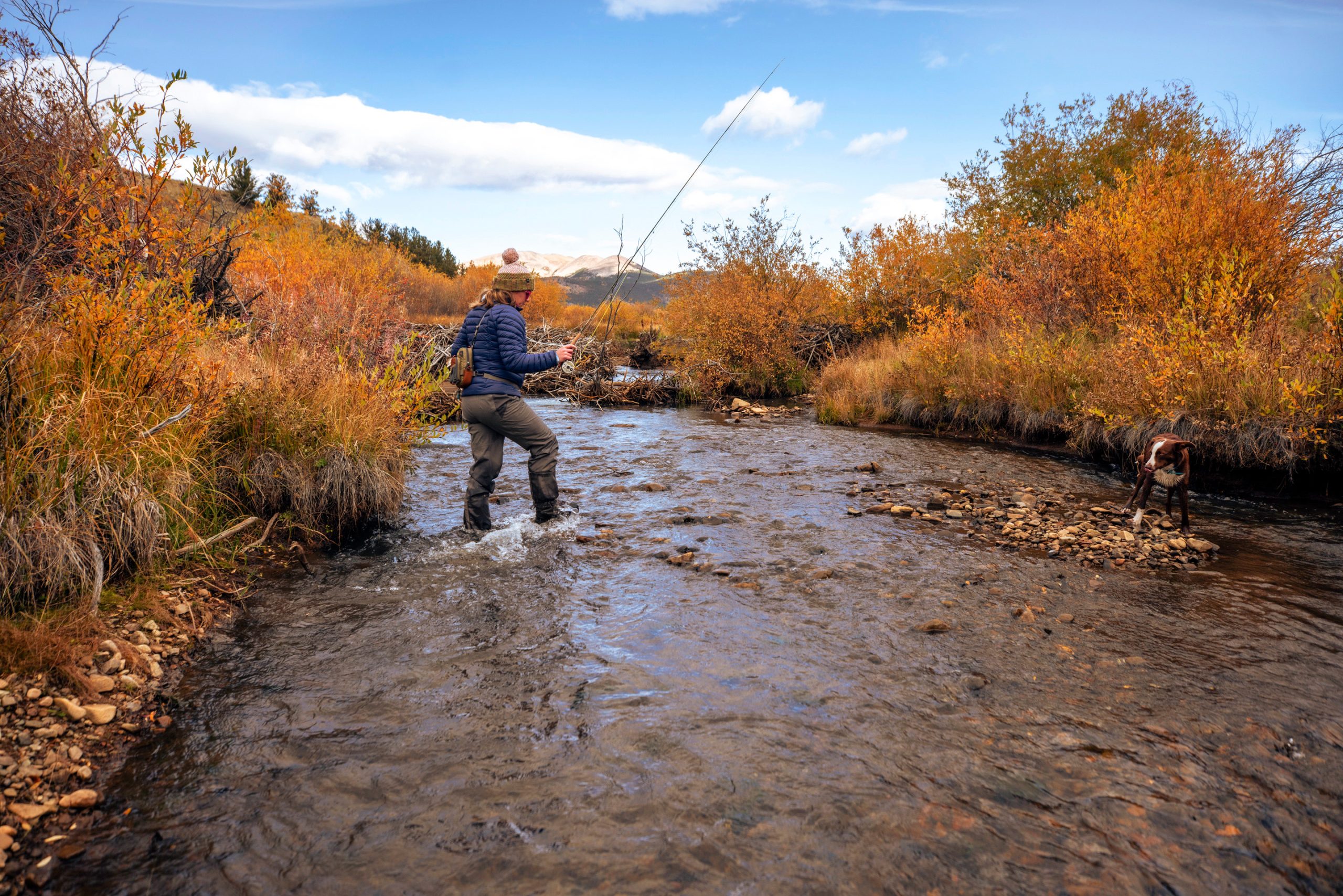 Colorado opens spectacular new wildlife area on former Tarryall Creek ...