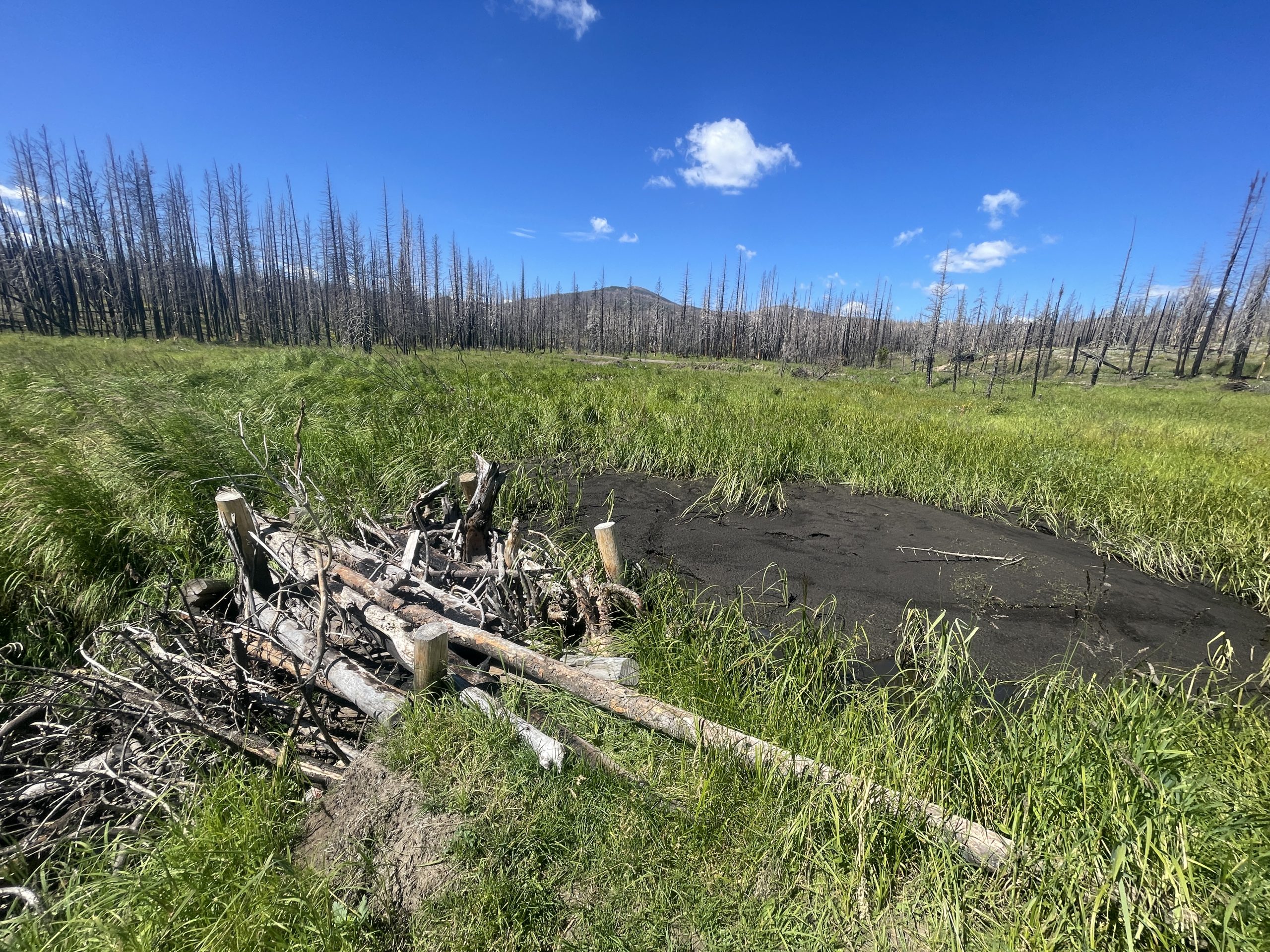 Colorado Communities Are Protecting Water From Wildfires Before The