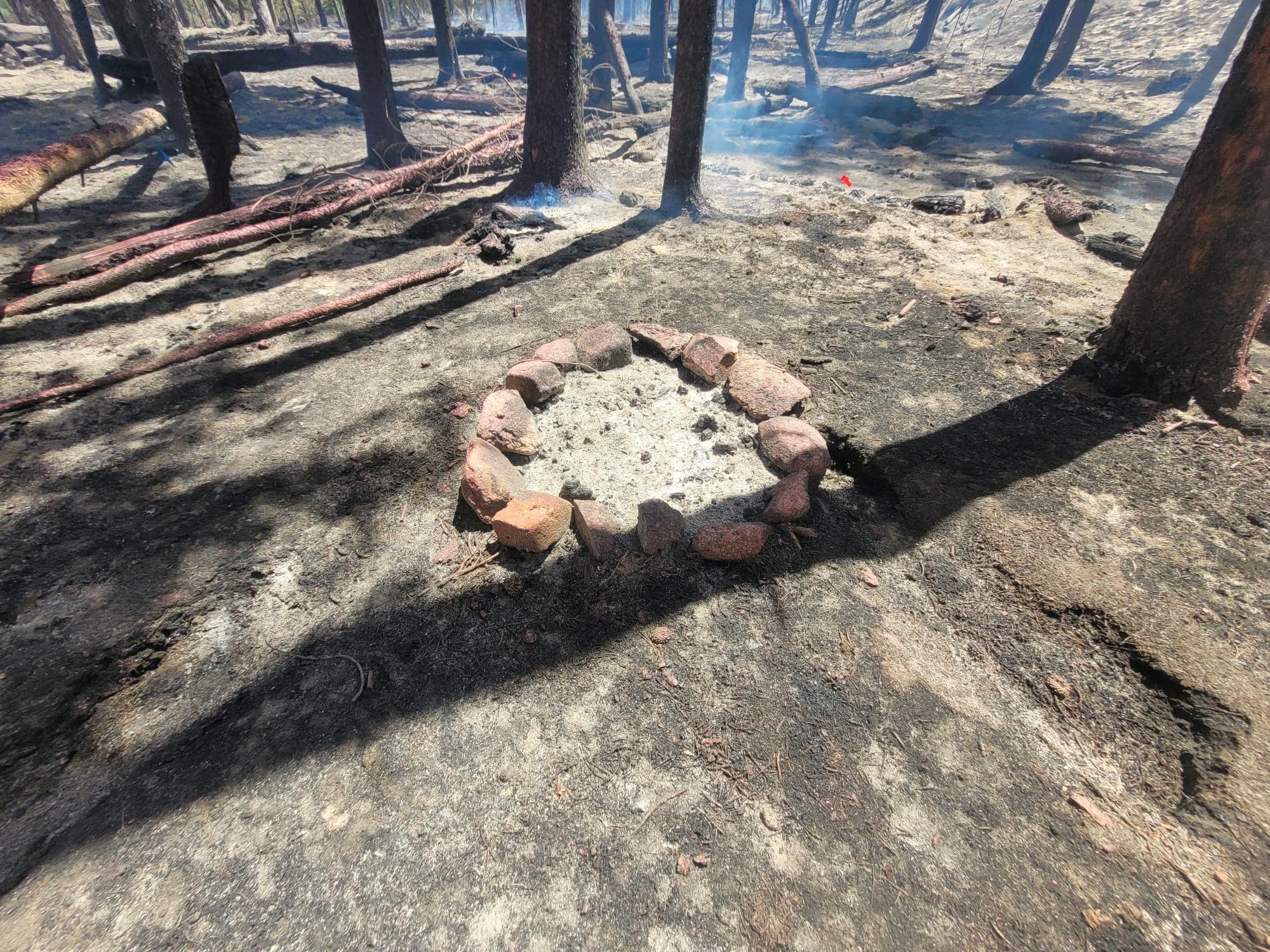 Abandoned campfire suspected cause of Colorado wildfire
