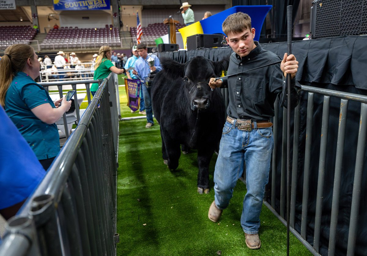 PHOTOS: Colorado State Fair serves up all kinds of thrills — old and new