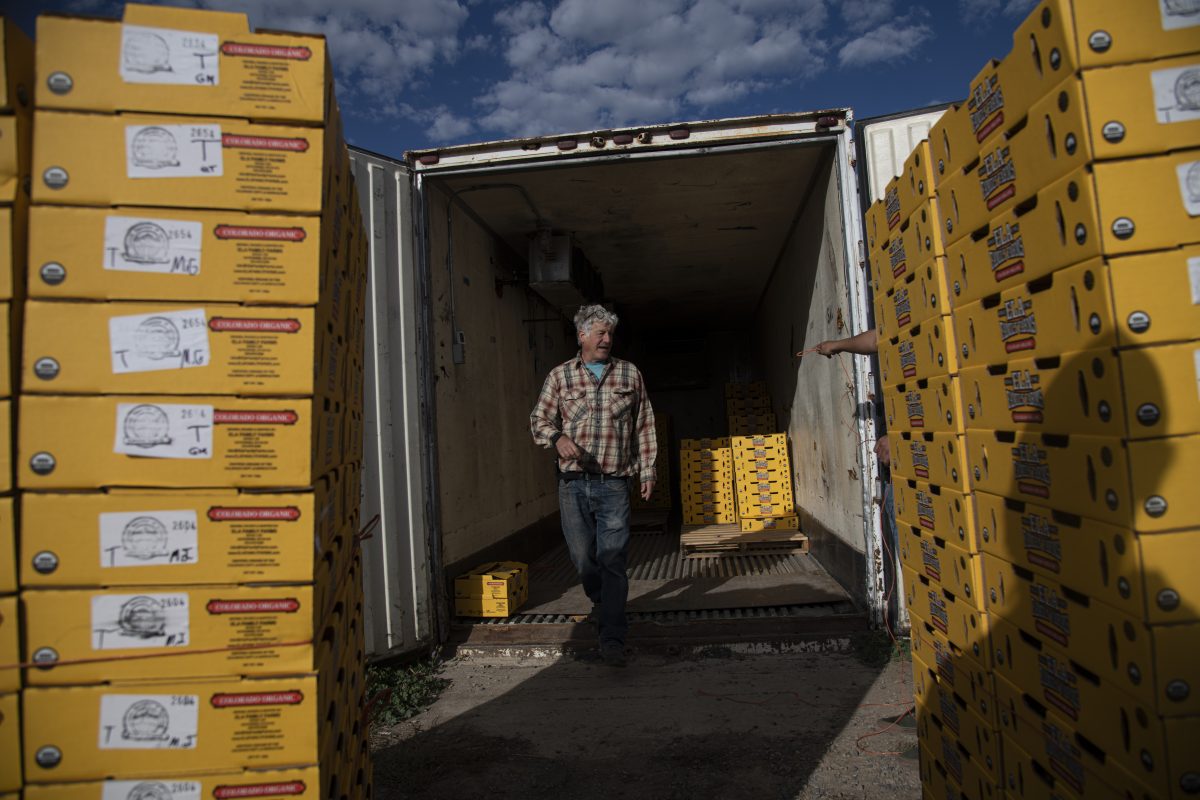 Bringing back Colorado’s rarest apple that was once thought lost