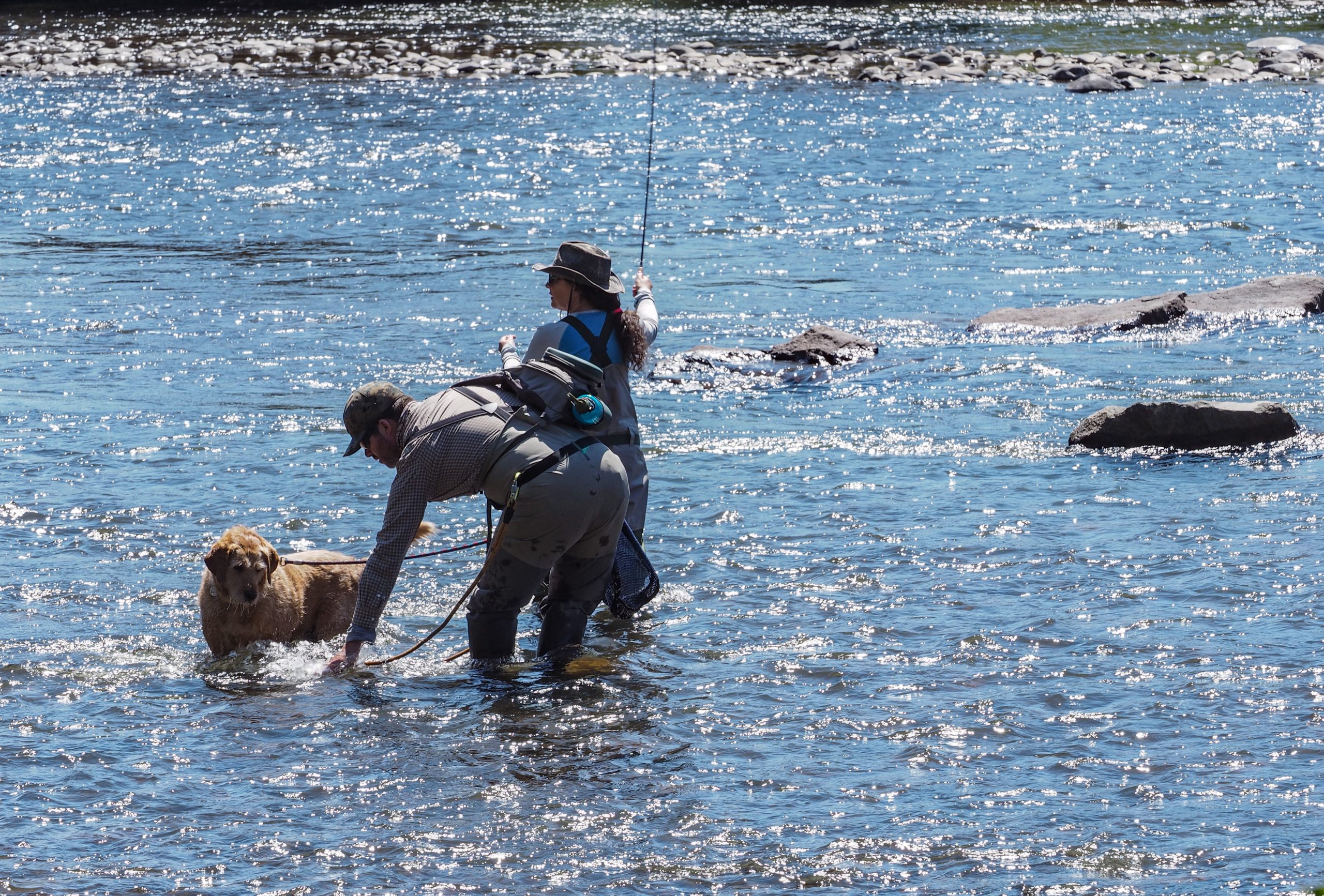 Promises broken on state-funded Rio Grande dam project, river advocates say