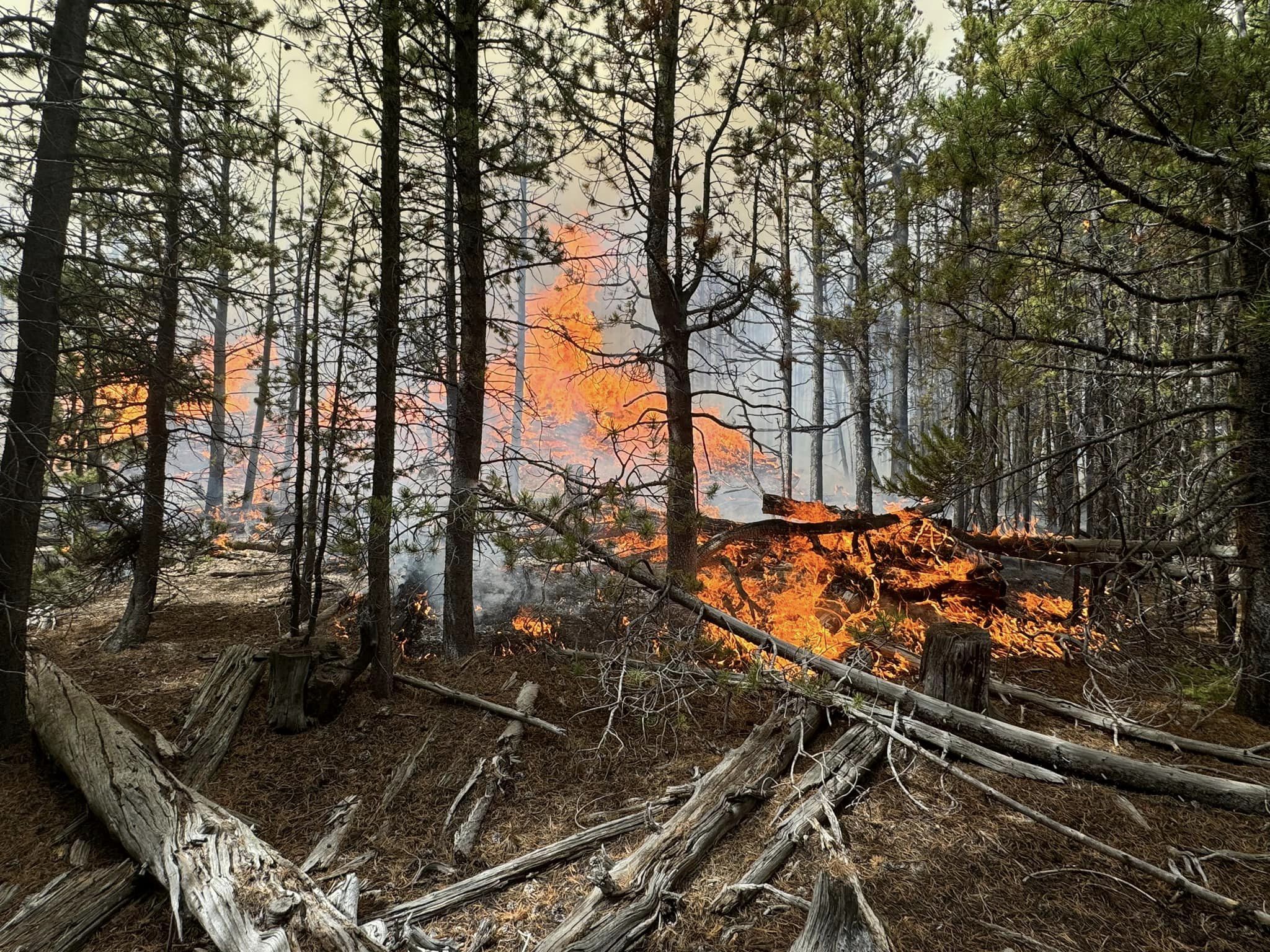 Strong winds forecast as crews fight Pearl fire in northern Colorado