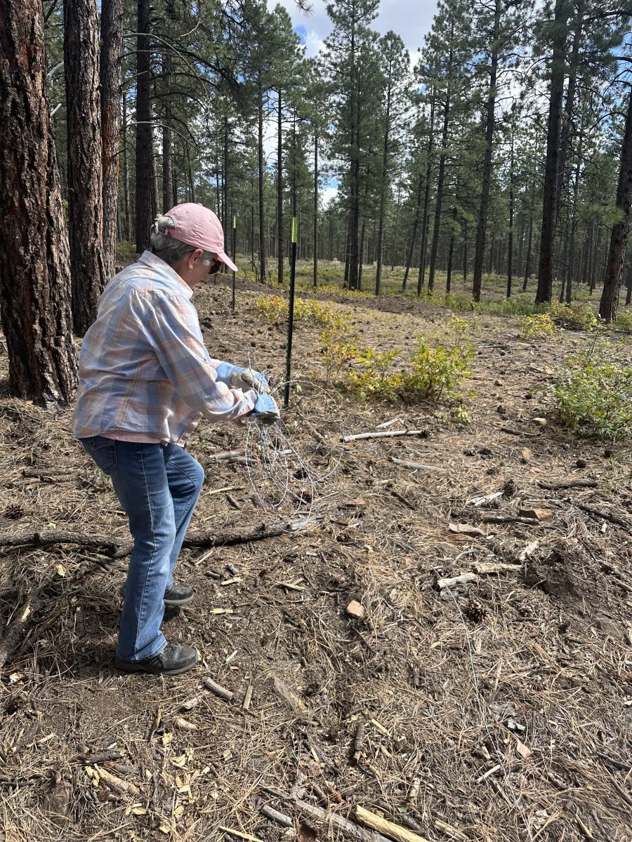 Group claims ownership to 1,400 acres of public land in Colorado