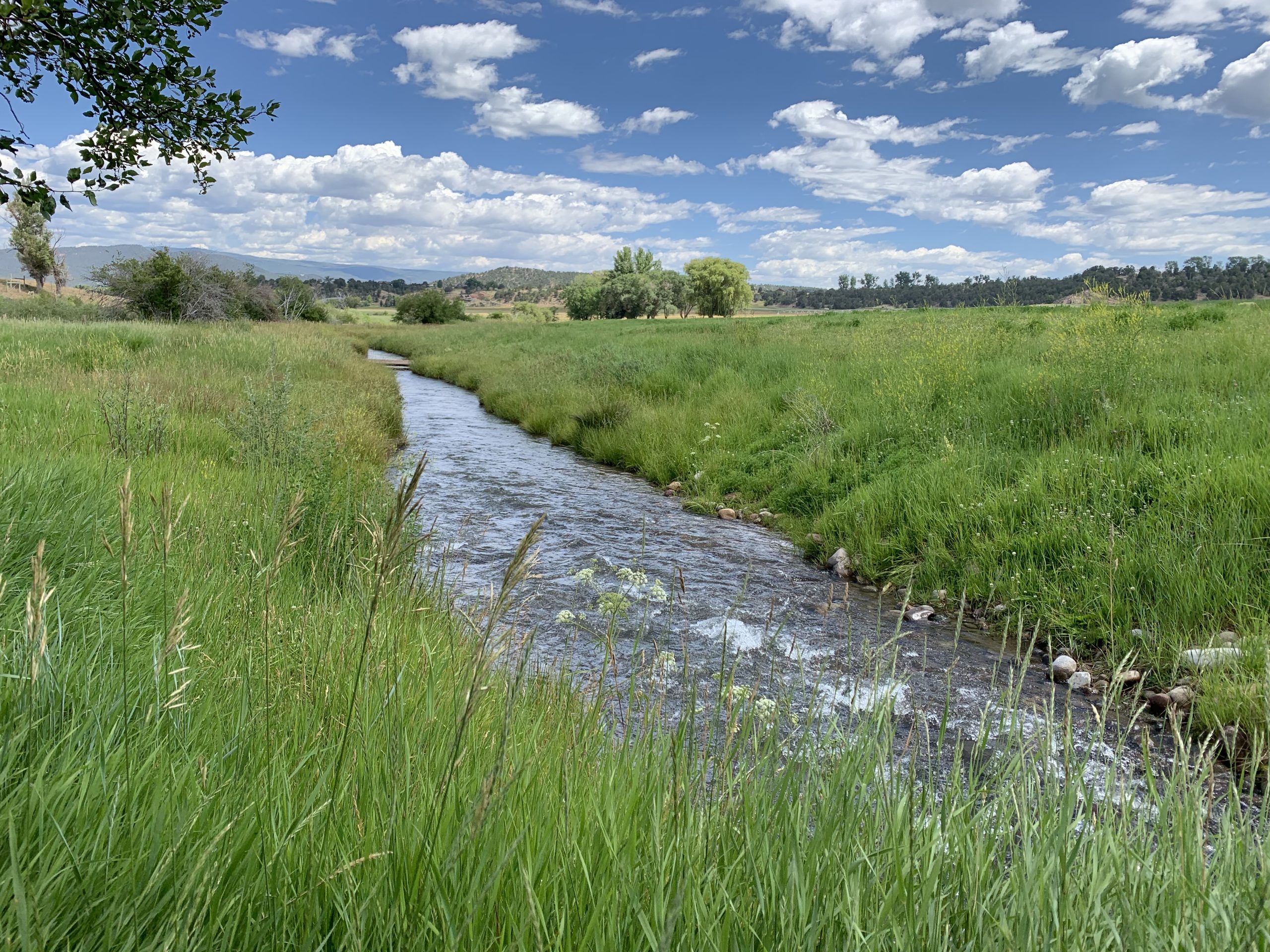 Colorado water rights: Do you need to “use it or lose it” to avoid ...