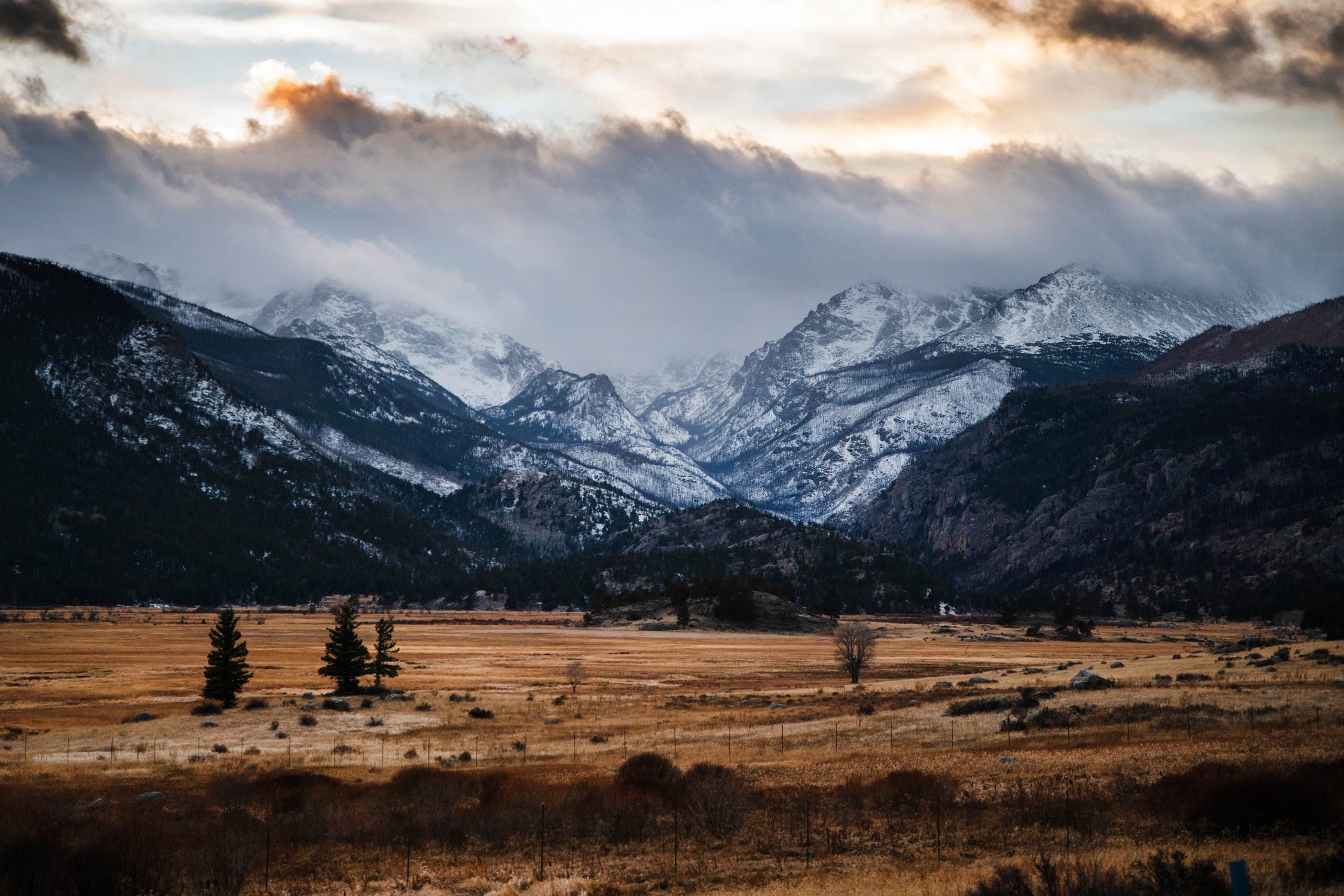 Skeletal remains in Rocky Mountain National Park identified