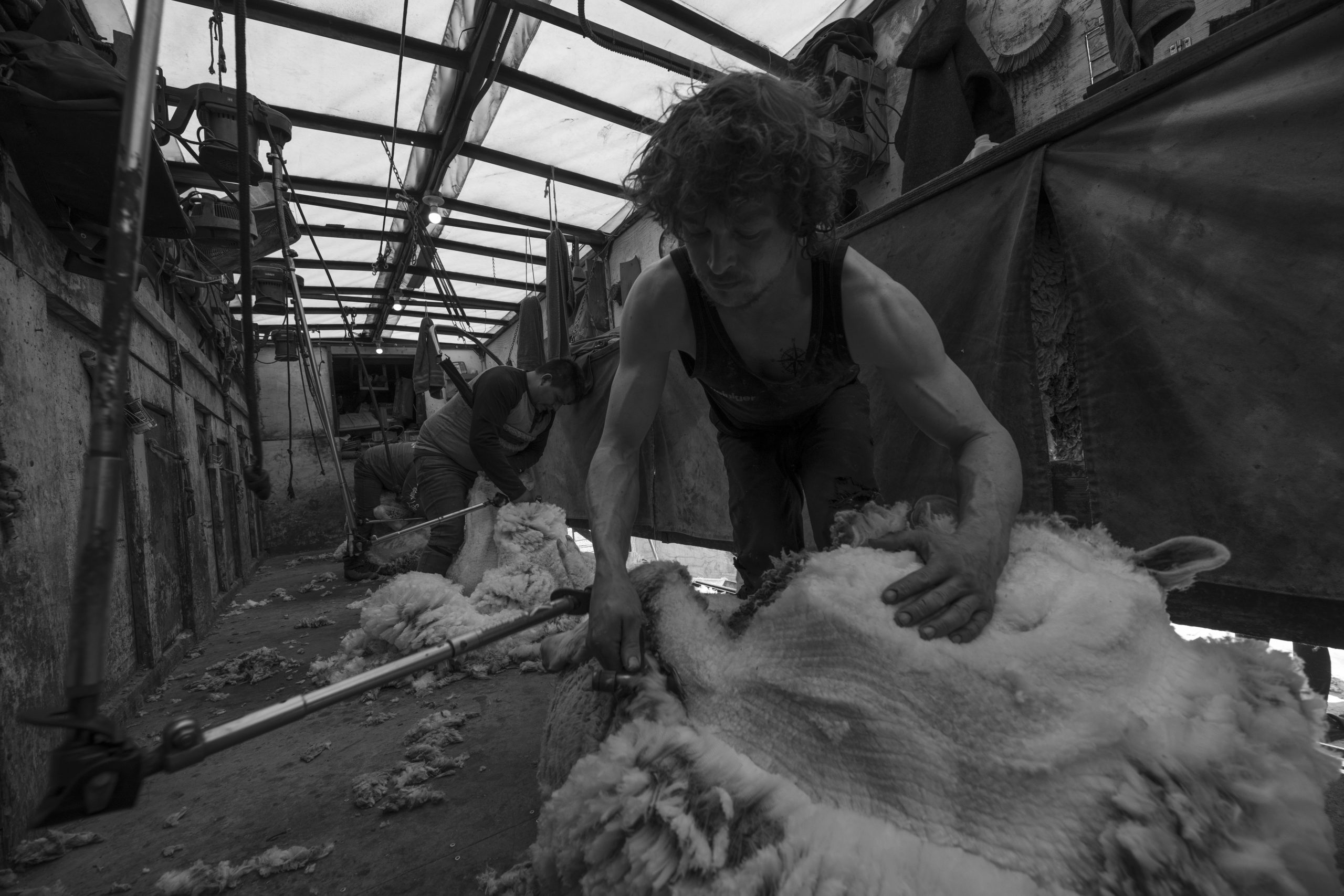 PHOTOS: The Colorado sheep shearers who help fuel the fashion world ...
