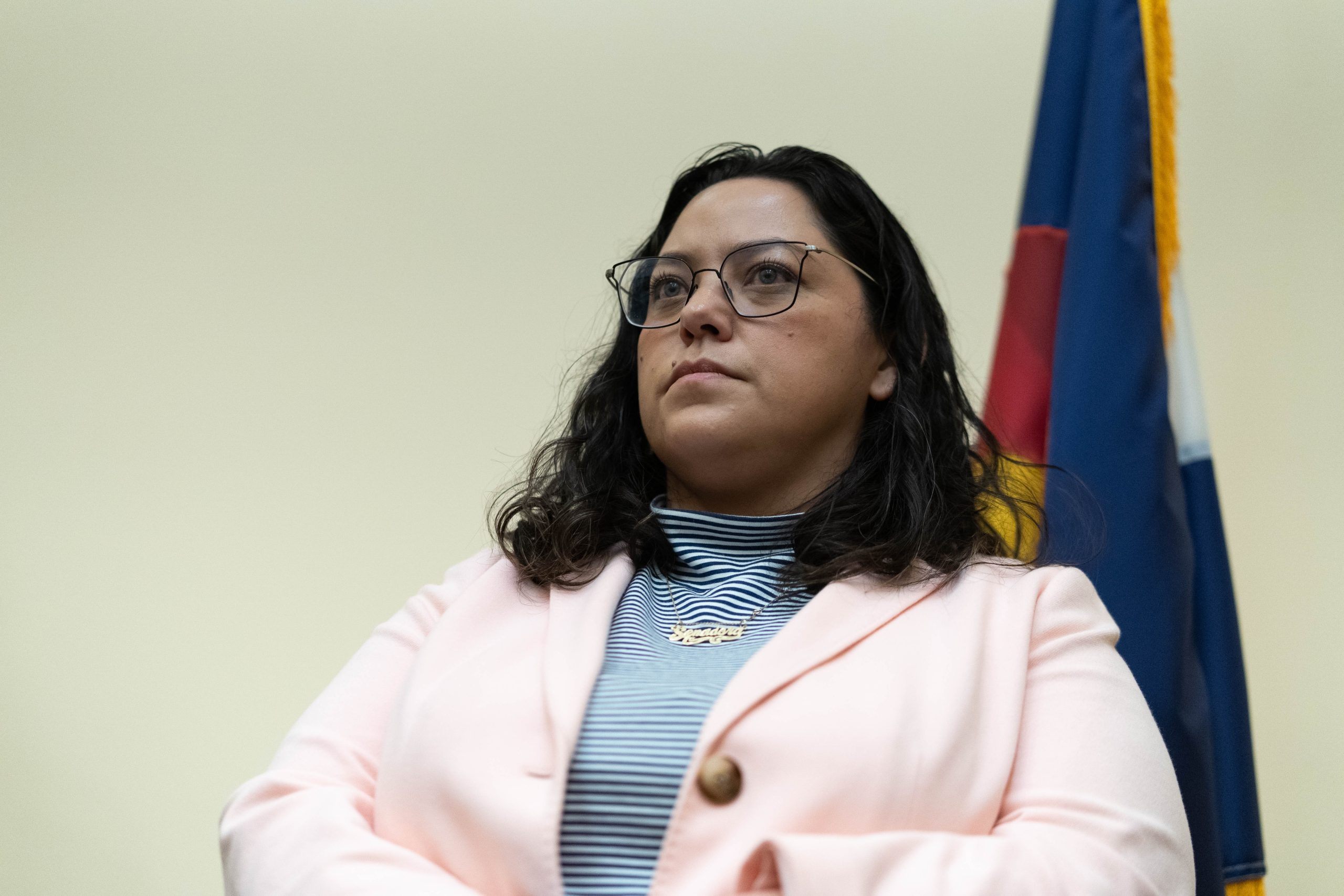 Democratic state senator launches bid as “insurgent progressive” to ...