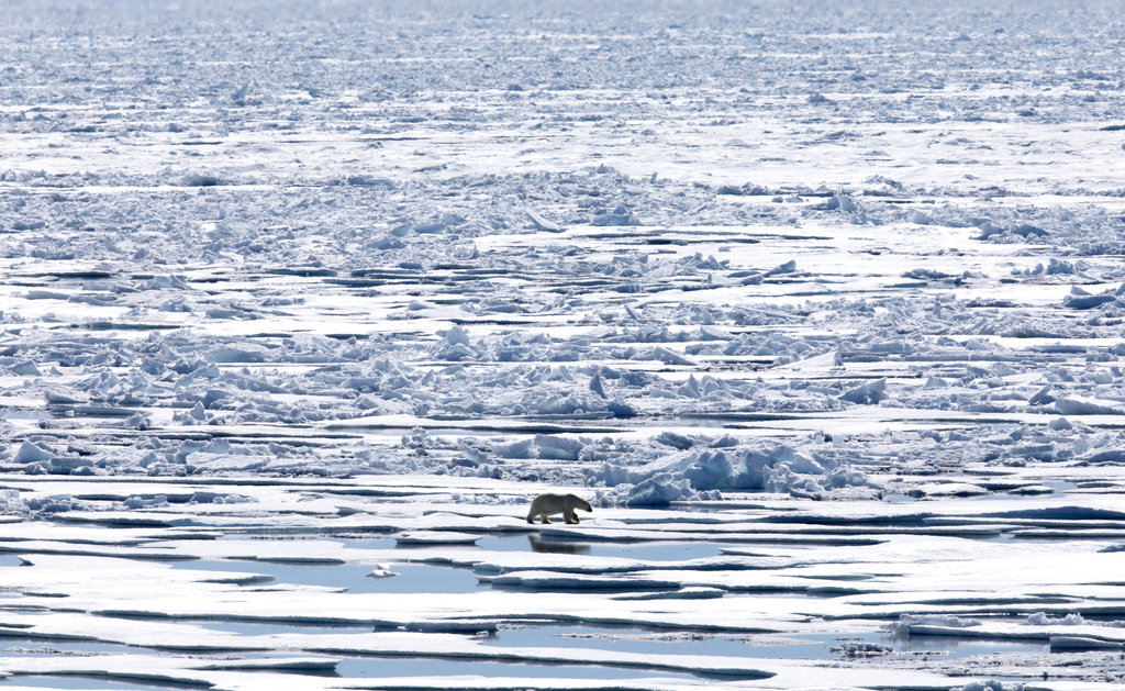 Wetlands growth produces methane in feedback loop, CU Boulder says