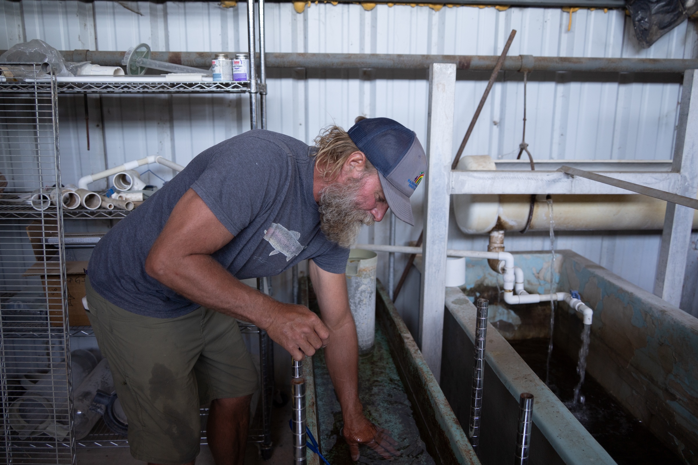 Animas River dodges gasoline spill so far, some risk remains