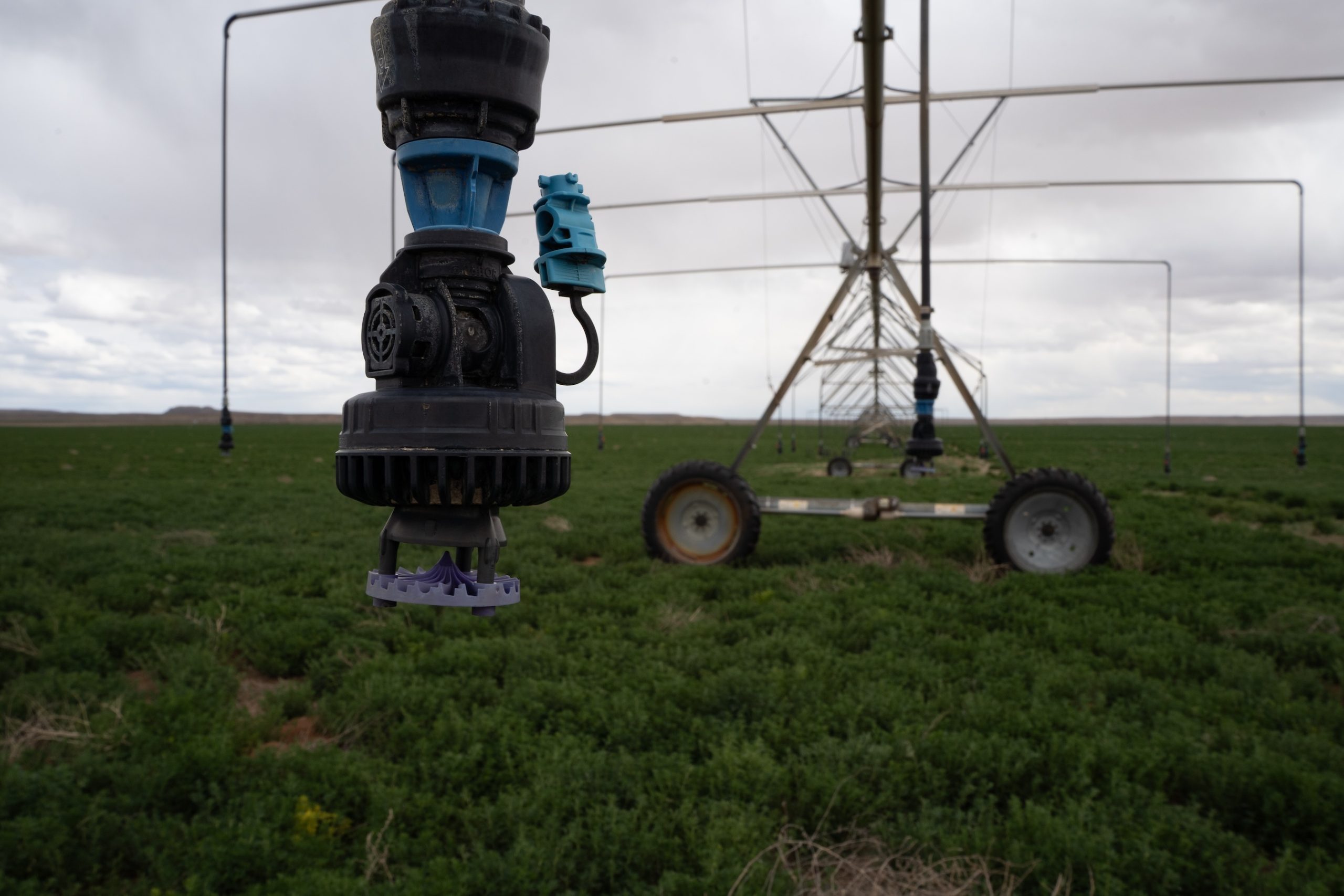 Colorado farmers tighten their belts ahead of summer drought - The ...